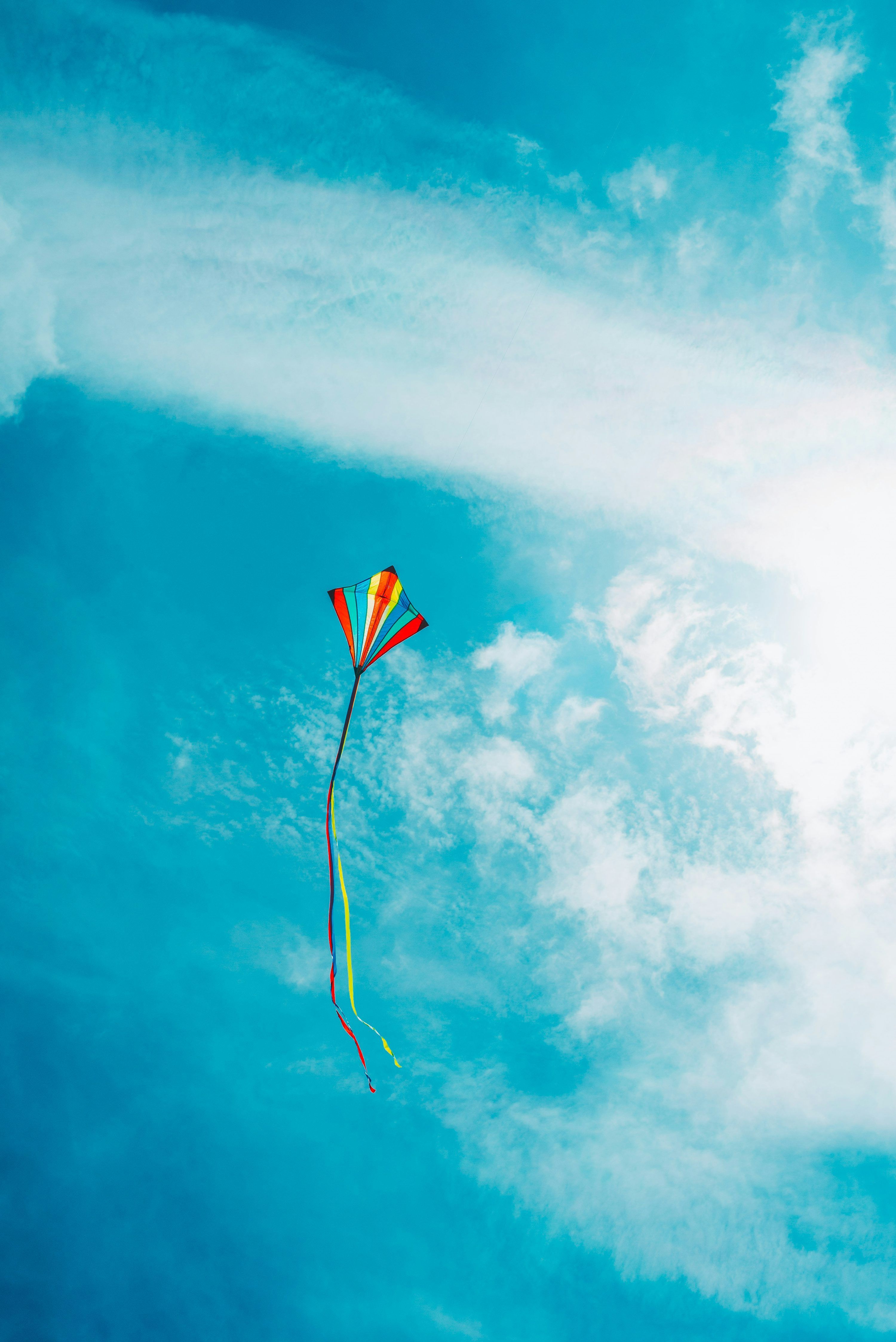 Kite Festival Wallpapers - Top Free Kite Festival Backgrounds ...