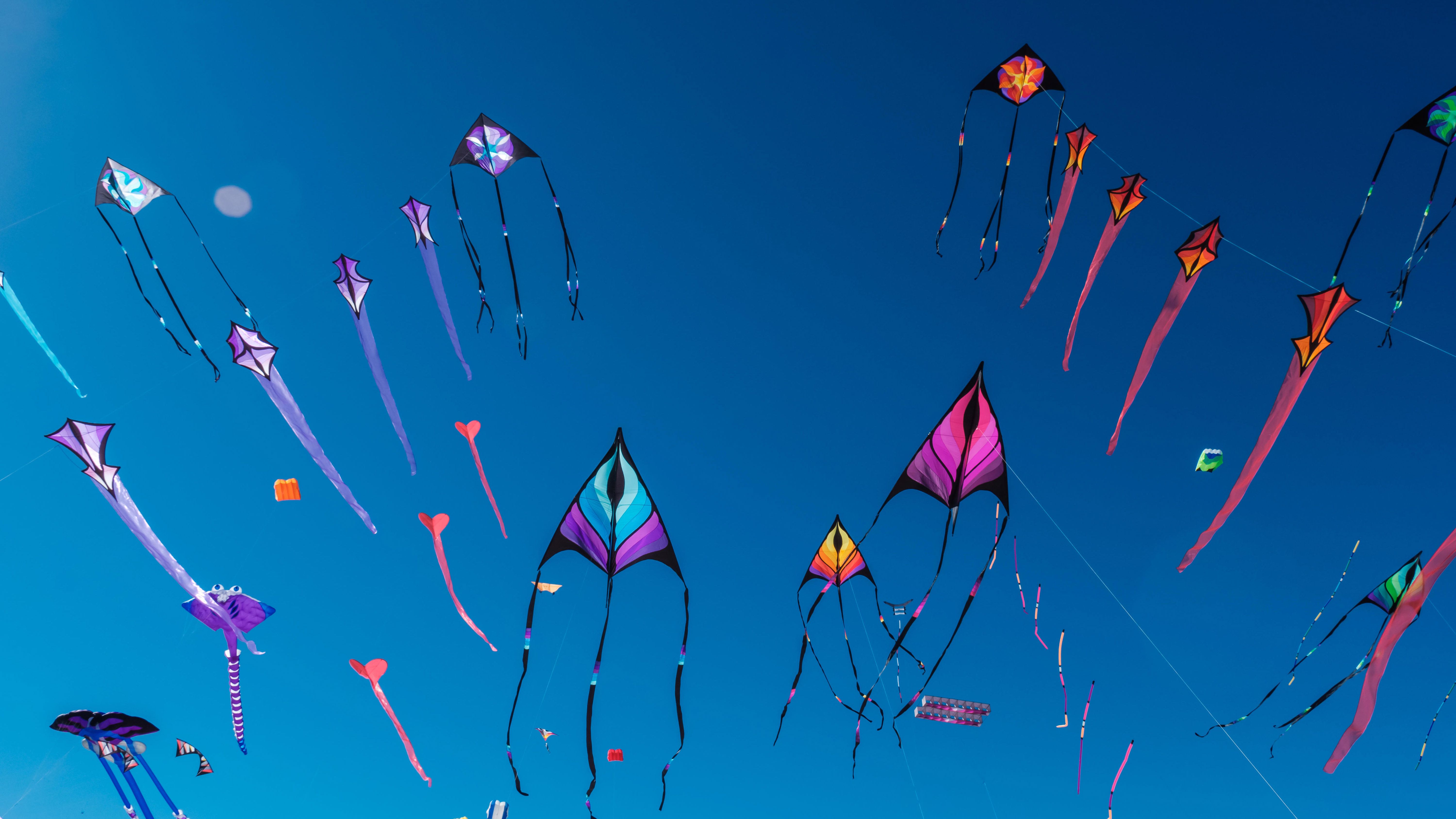 Kite Festival Wallpapers - Top Free Kite Festival Backgrounds ...