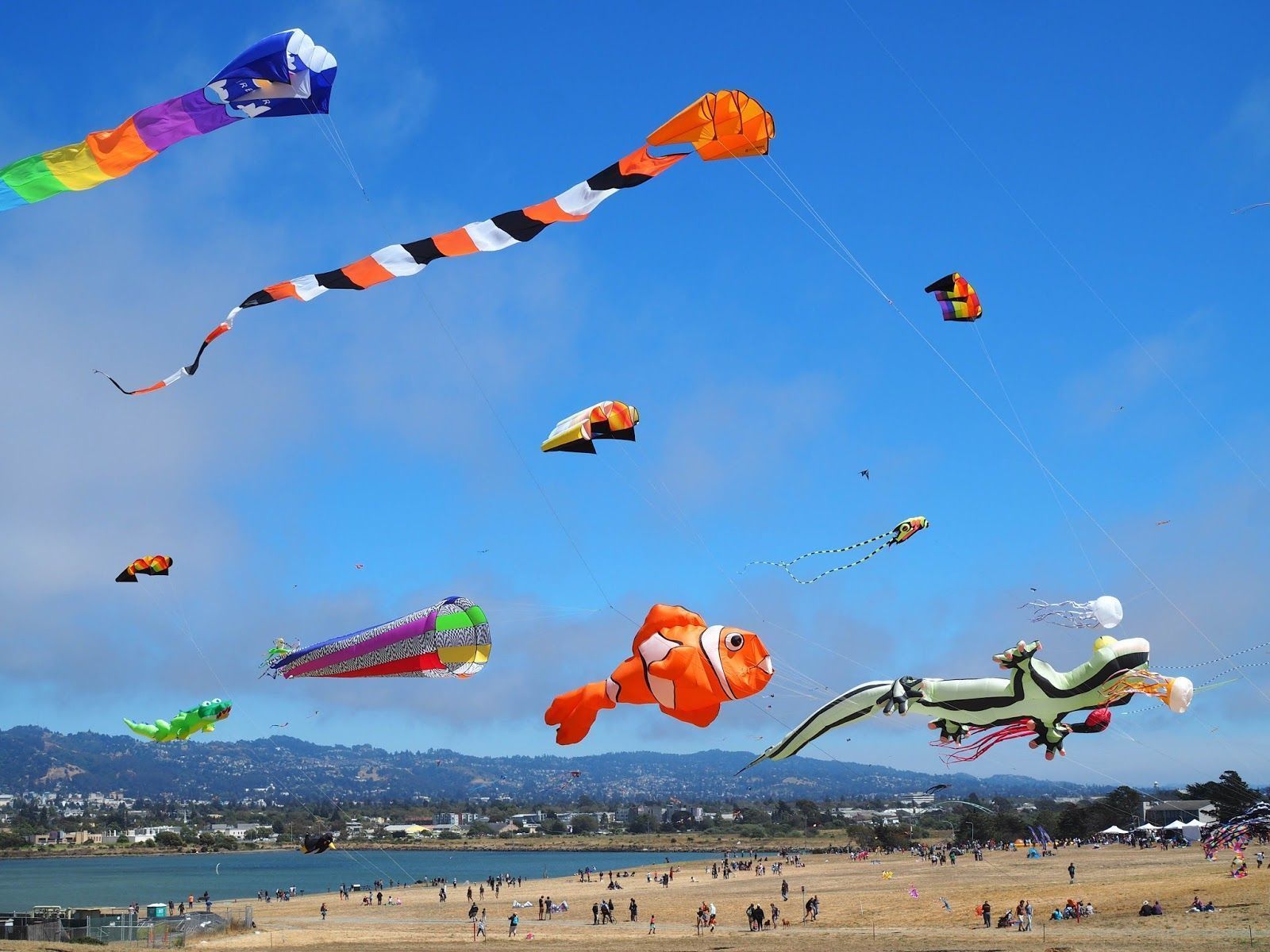 Kite Festival Wallpapers - Top Free Kite Festival Backgrounds ...