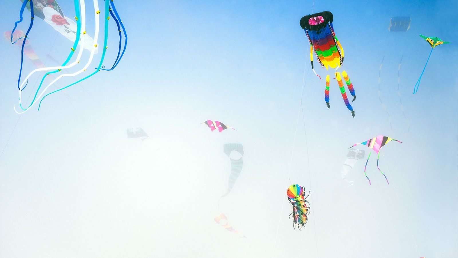 Kite Festival Wallpapers - Top Free Kite Festival Backgrounds ...