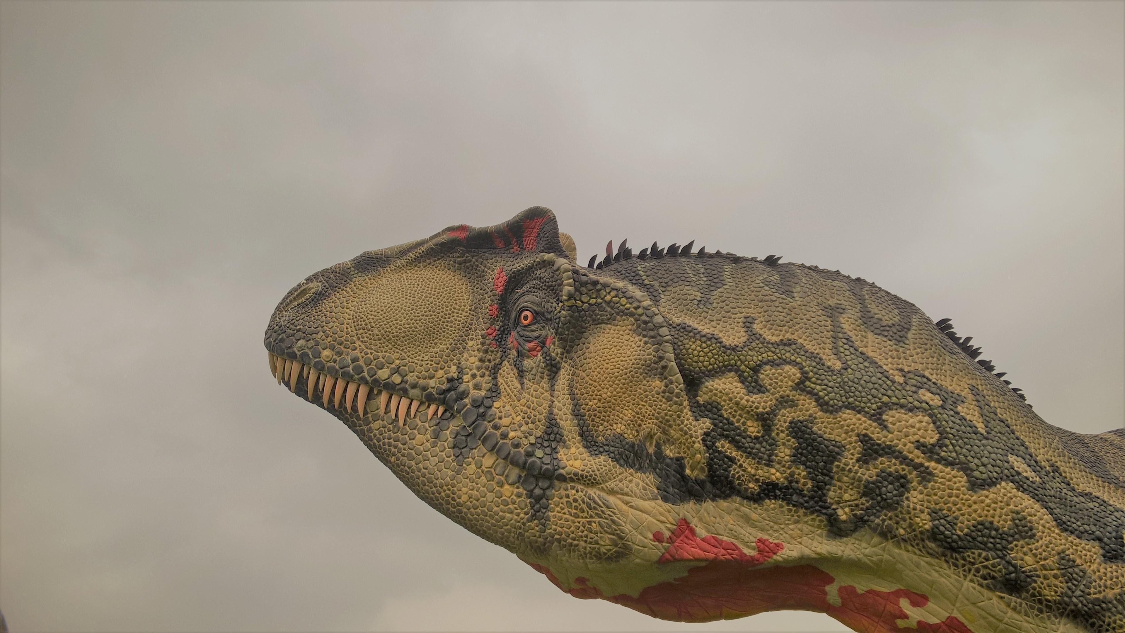 Carnotaurus Wallpapers - Top Free Carnotaurus Backgrounds - WallpaperAccess