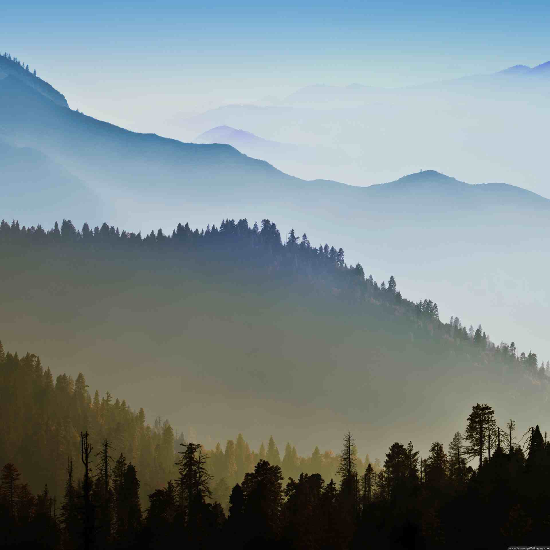 1920X1920 Wallpapers - Top Free 1920X1920 Backgrounds - WallpaperAccess