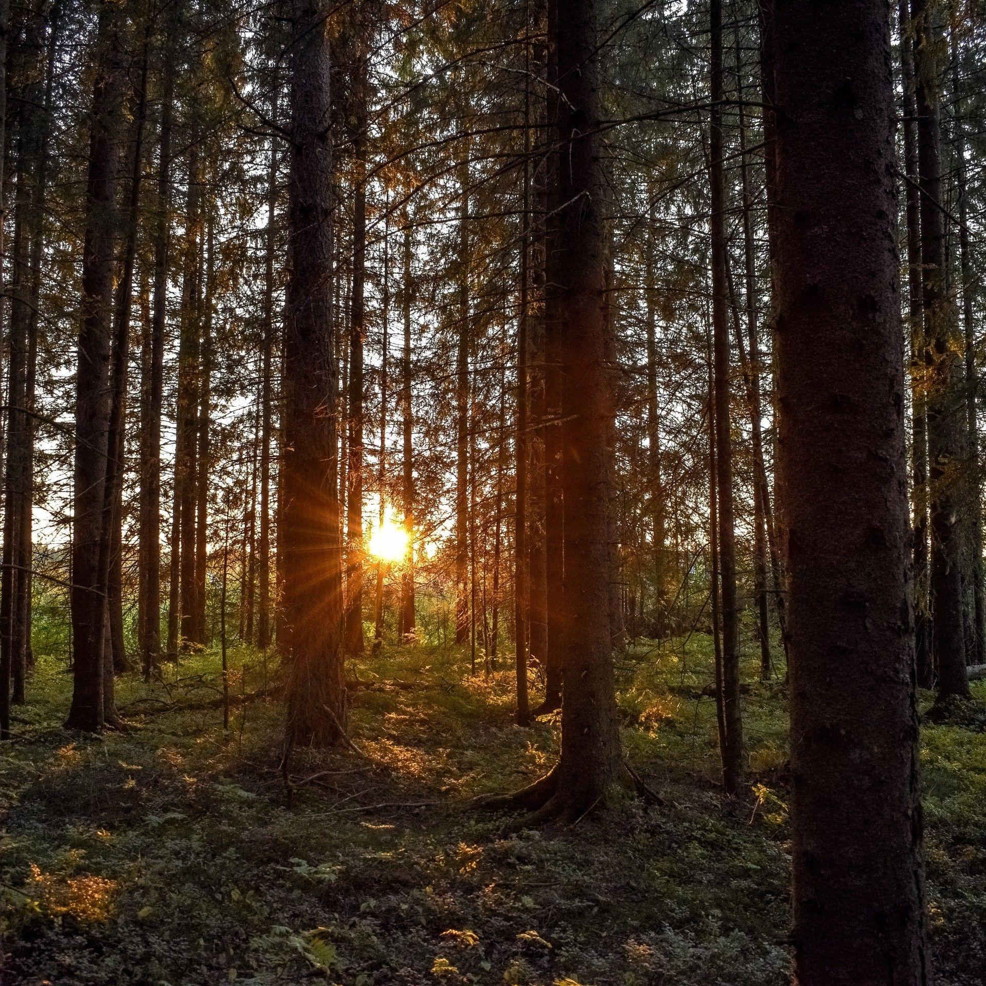 1920X1920 Wallpapers - Top Free 1920X1920 Backgrounds - WallpaperAccess