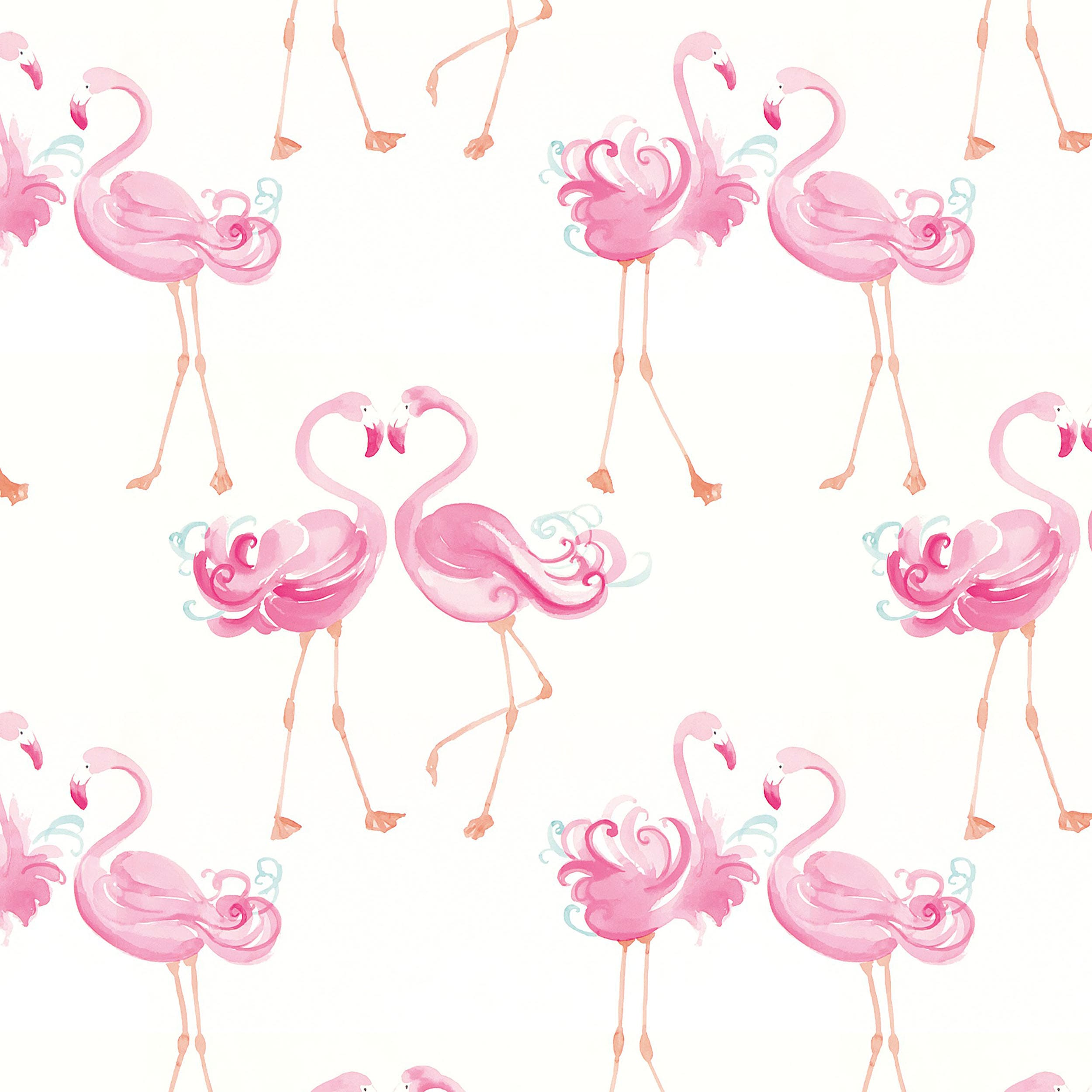 Pink Flamingo Wallpapers - Top Free Pink Flamingo Backgrounds ...