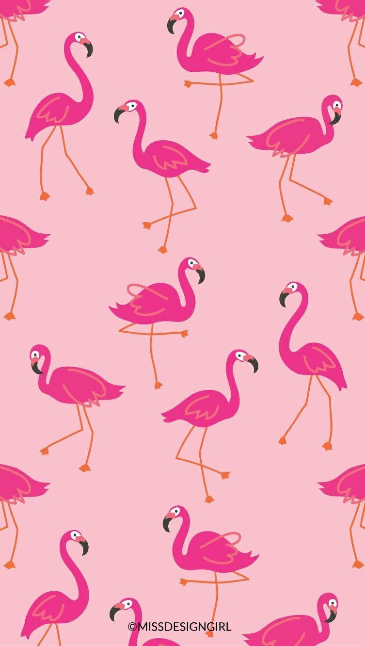 Cute Flamingo Wallpapers - Top Free Cute Flamingo Backgrounds ...