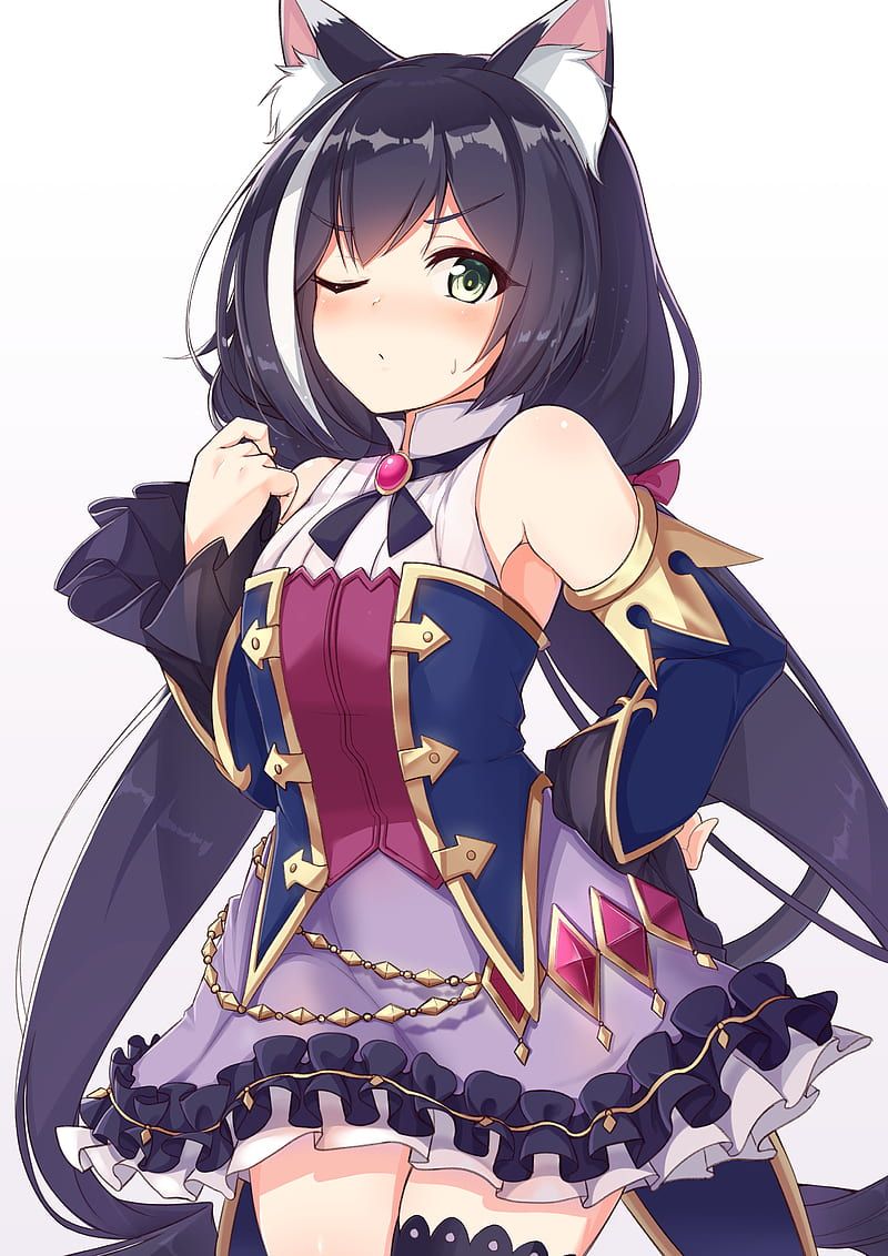 Kyaru Wallpapers - Top Free Kyaru Backgrounds - WallpaperAccess