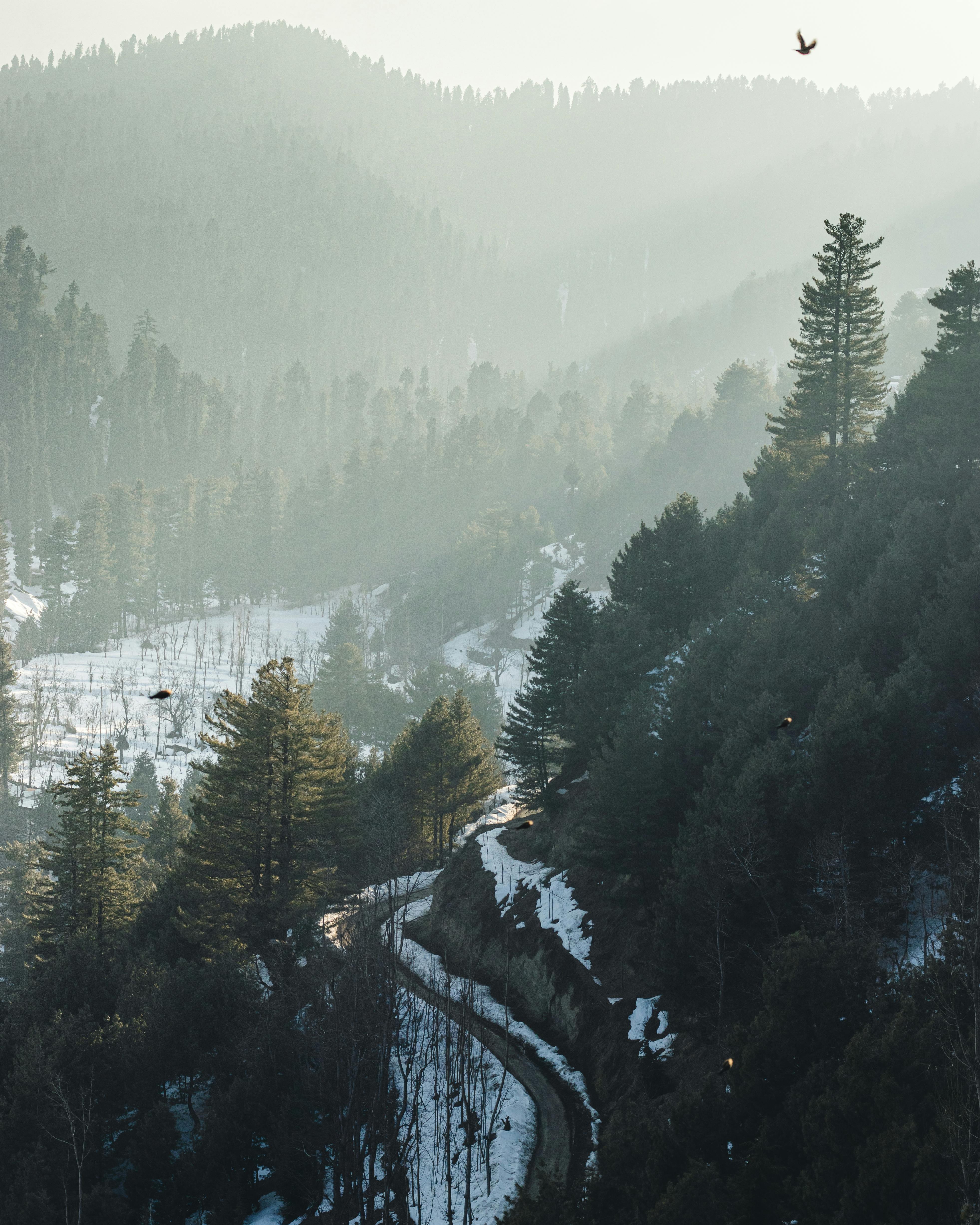 Murree Wallpapers - Top Free Murree Backgrounds - WallpaperAccess