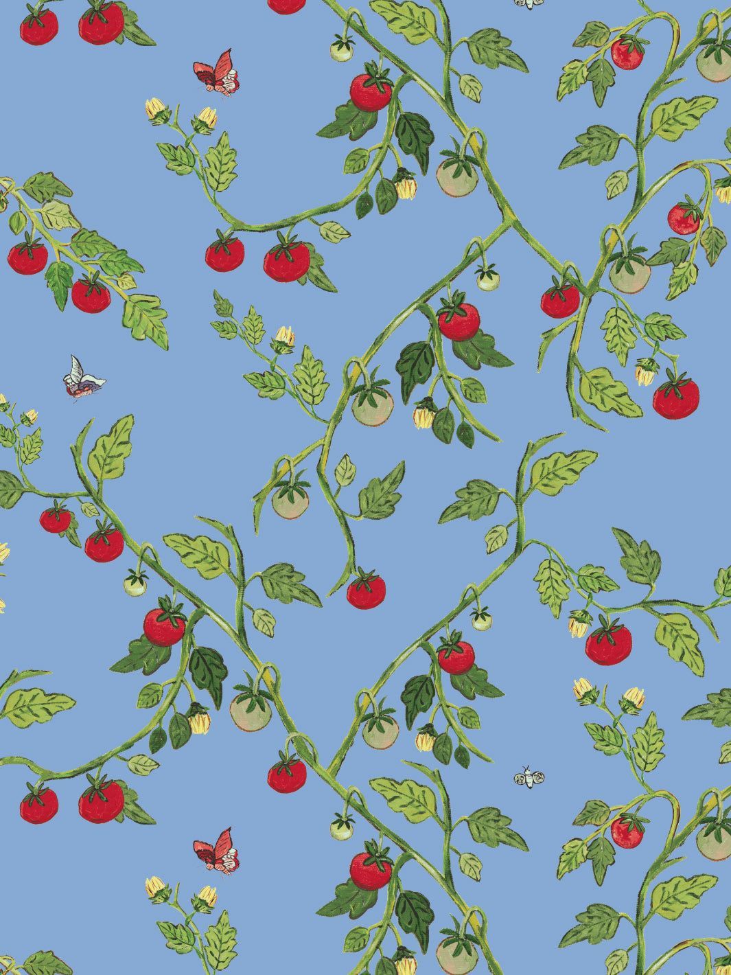 Pomodoro Wallpapers - Top Free Pomodoro Backgrounds - WallpaperAccess