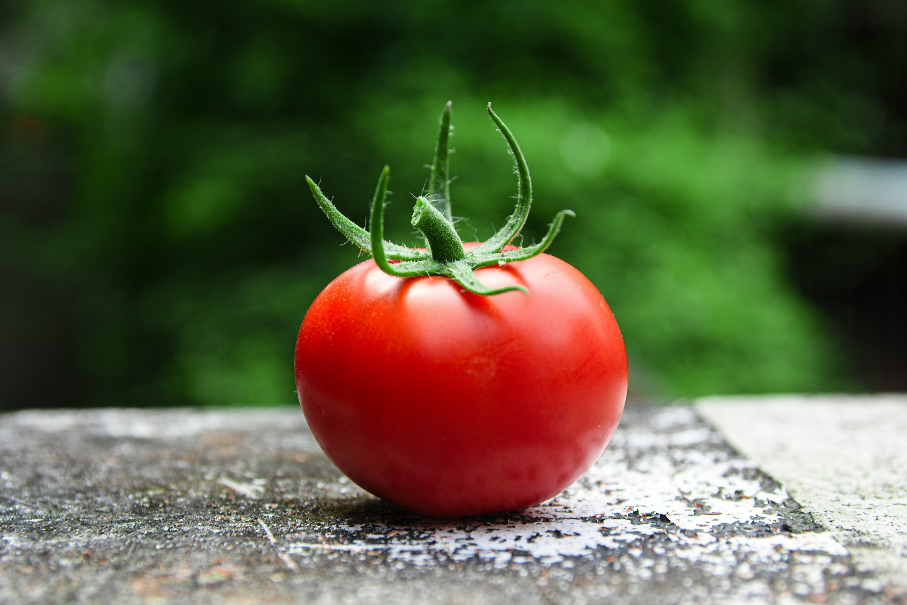 Pomodoro Wallpapers - Top Free Pomodoro Backgrounds - WallpaperAccess