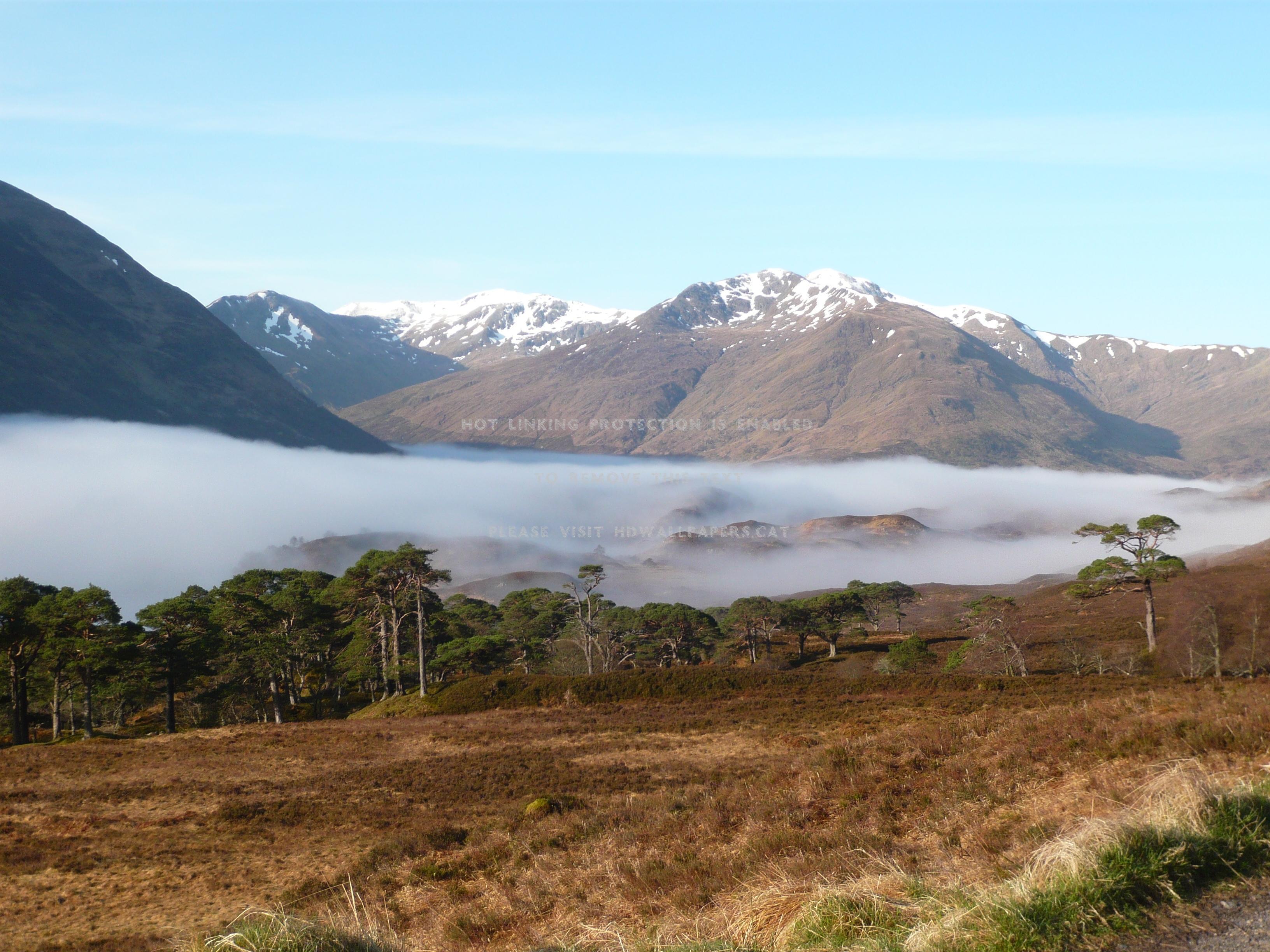 Glen Affric Wallpapers - Top Free Glen Affric Backgrounds - WallpaperAccess