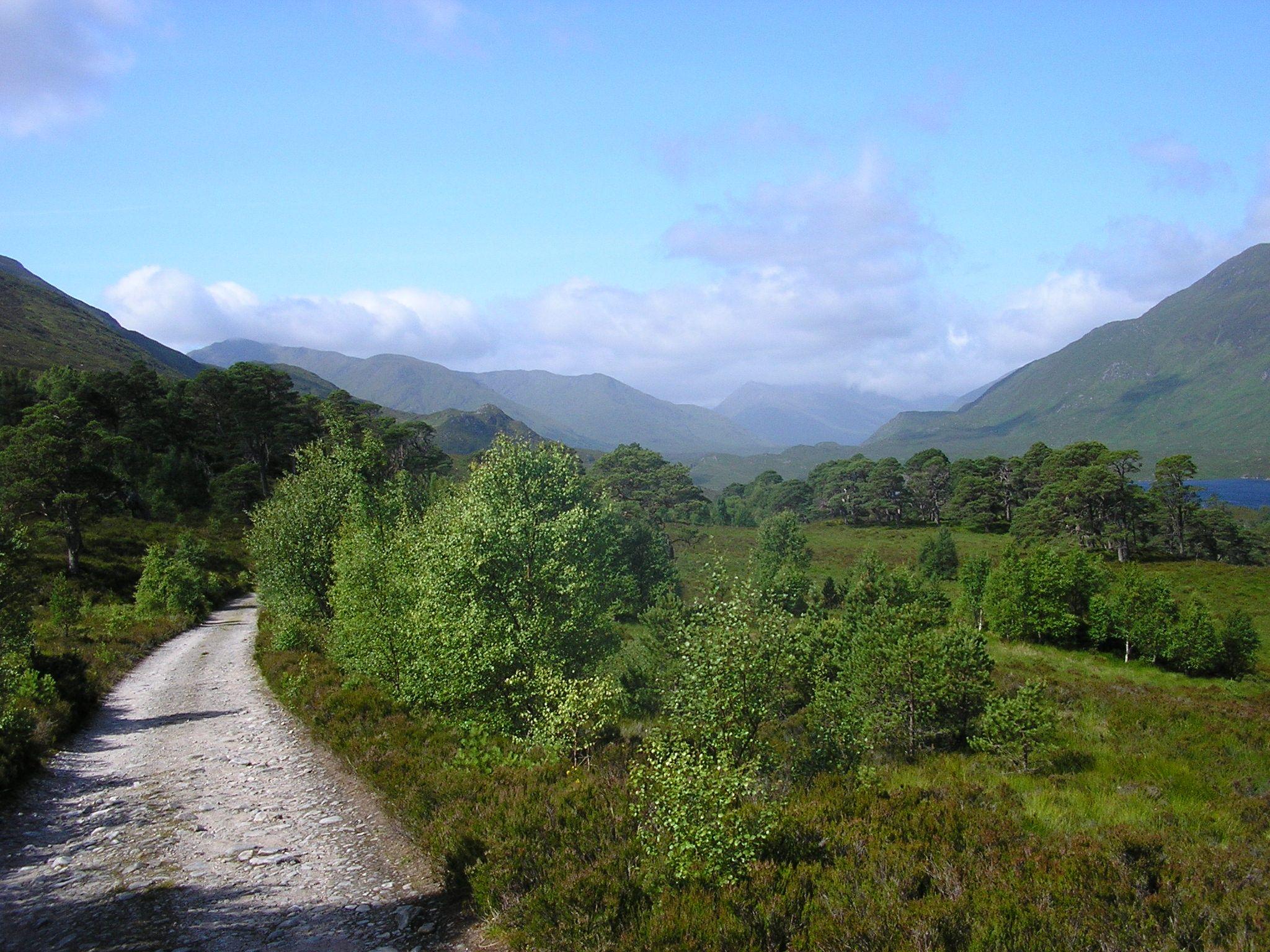 Glen Affric Wallpapers - Top Free Glen Affric Backgrounds - WallpaperAccess