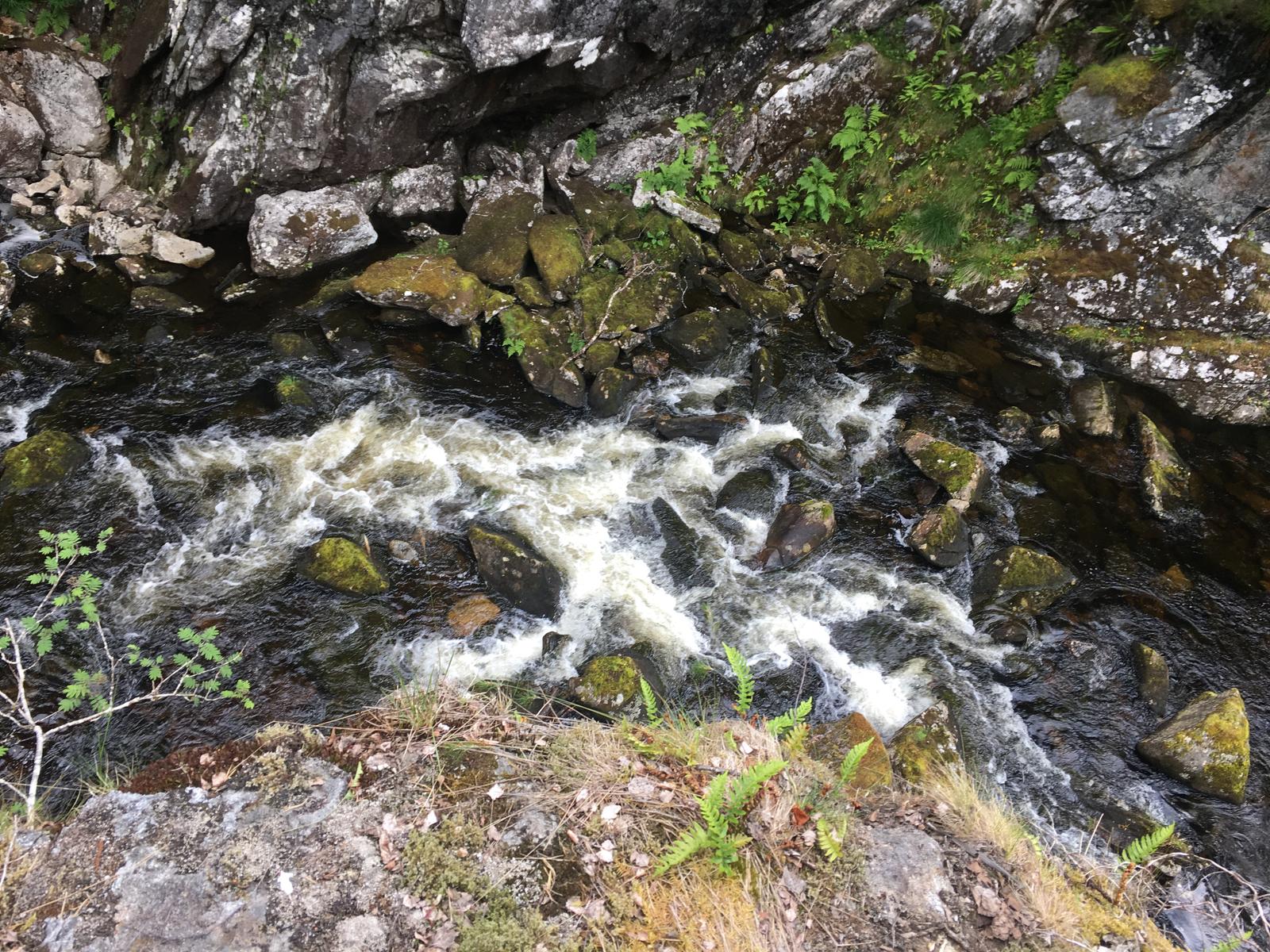 Glen Affric Wallpapers - Top Free Glen Affric Backgrounds - WallpaperAccess