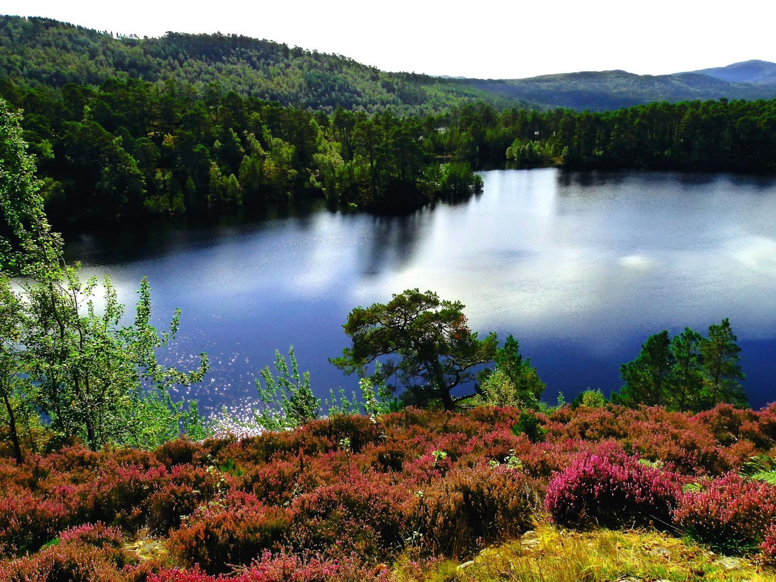 Glen Affric Wallpapers - Top Free Glen Affric Backgrounds - WallpaperAccess