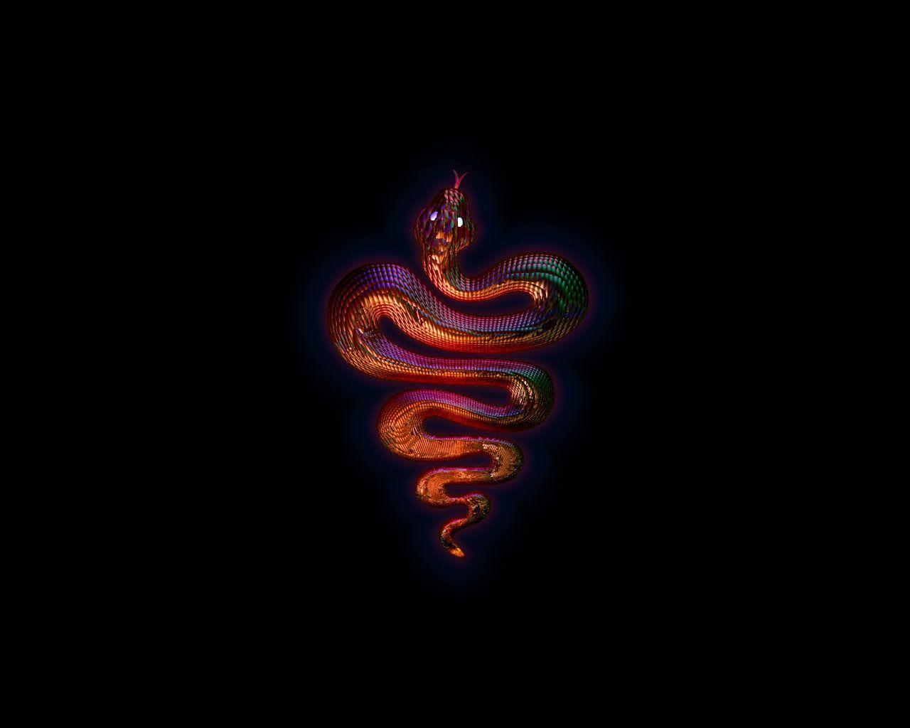 Fire Snake Wallpapers - Top Free Fire Snake Backgrounds - WallpaperAccess