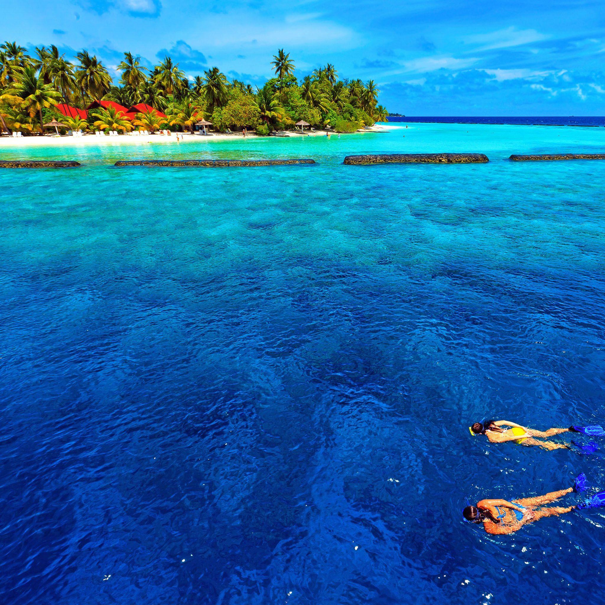 Snorkel Wallpapers - Top Free Snorkel Backgrounds - WallpaperAccess