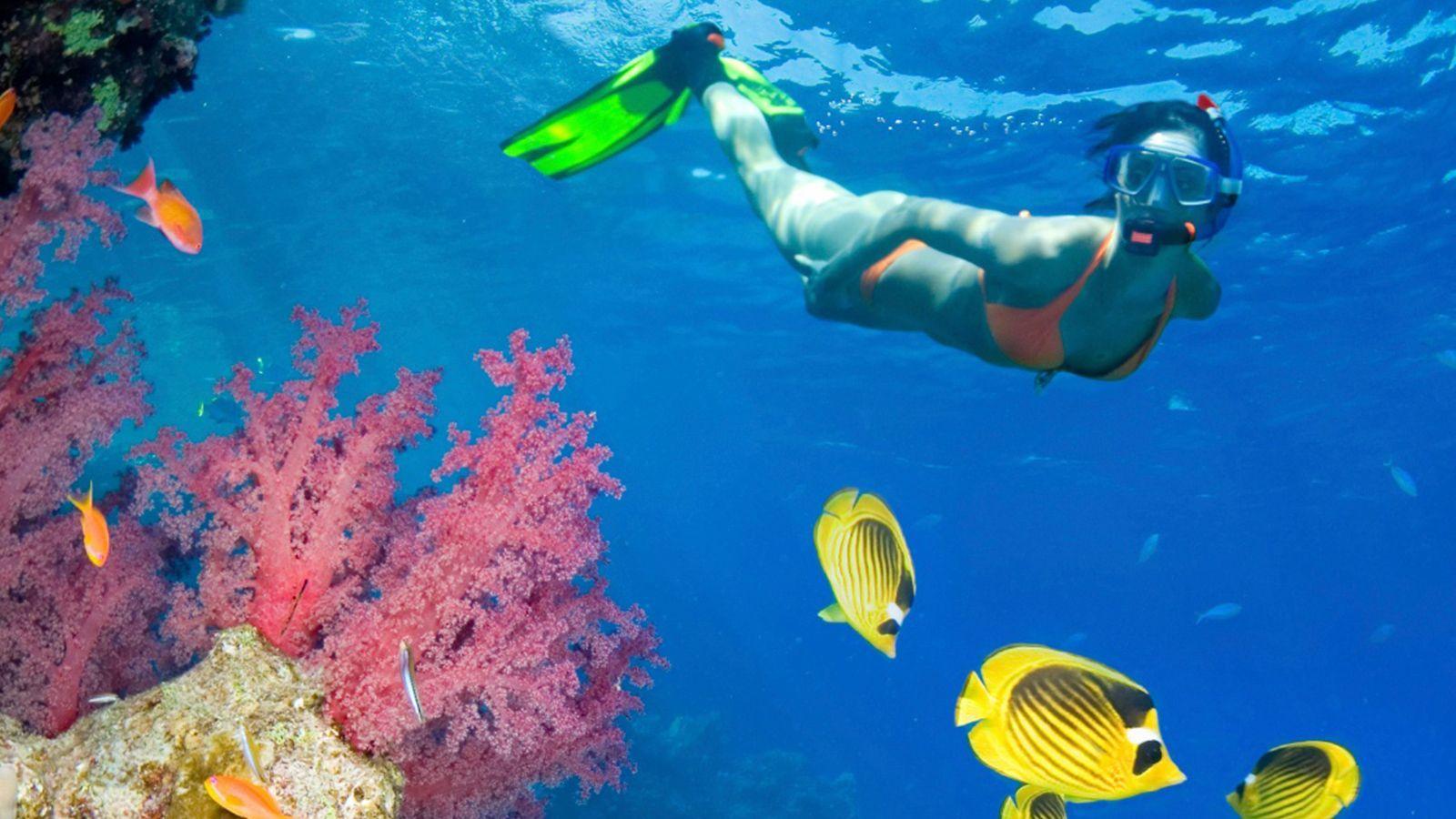 Snorkeling Wallpapers - Top Free Snorkeling Backgrounds - WallpaperAccess