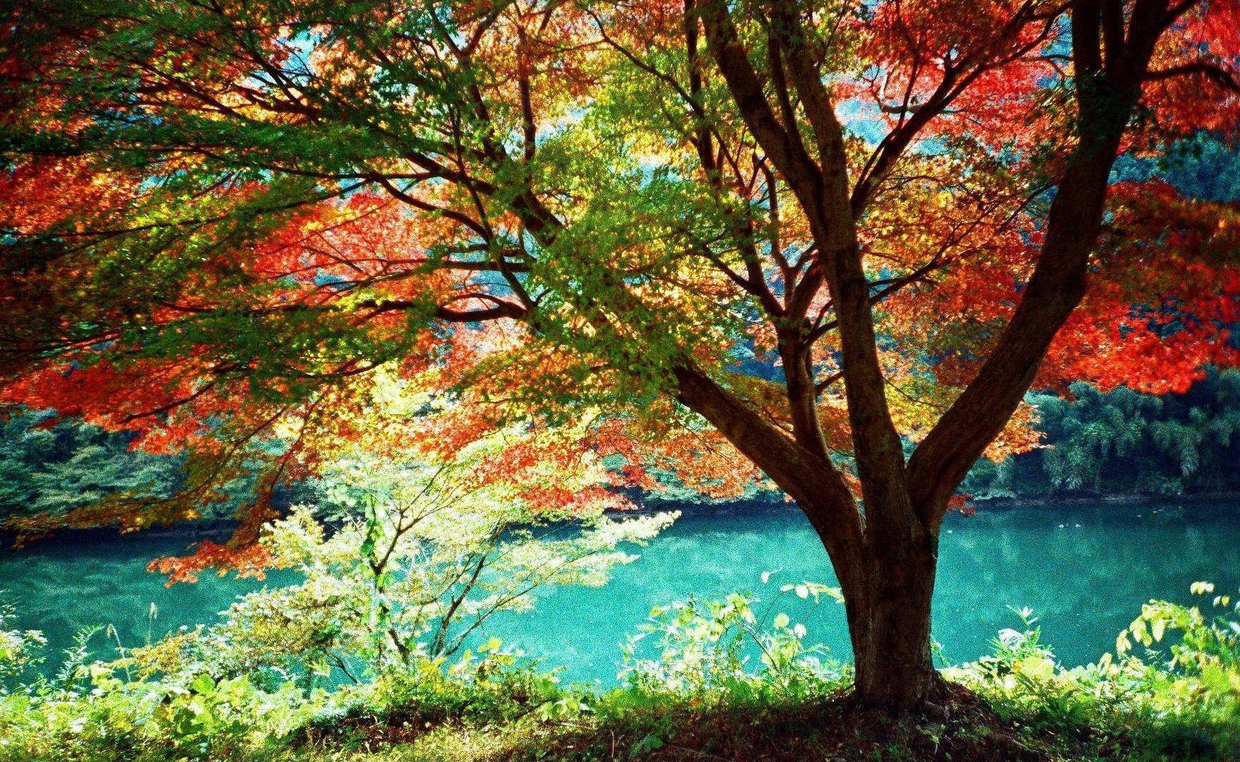 October Scenery Wallpapers - Top Free October Scenery Backgrounds ...