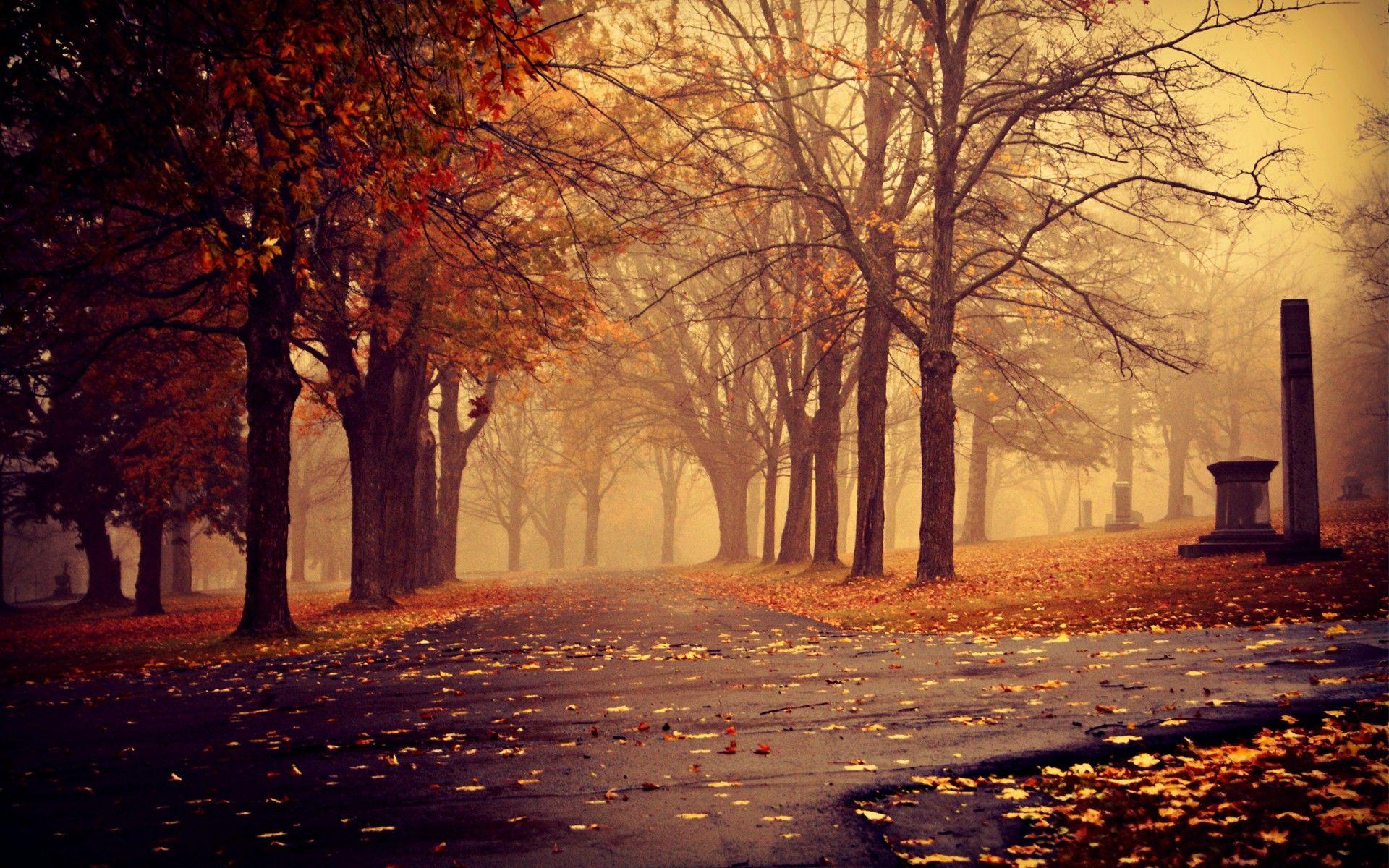 October Scenery Wallpapers - Top Free October Scenery Backgrounds ...