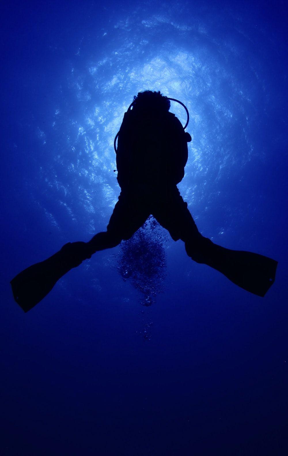 Diving Wallpapers - Top Free Diving Backgrounds - WallpaperAccess