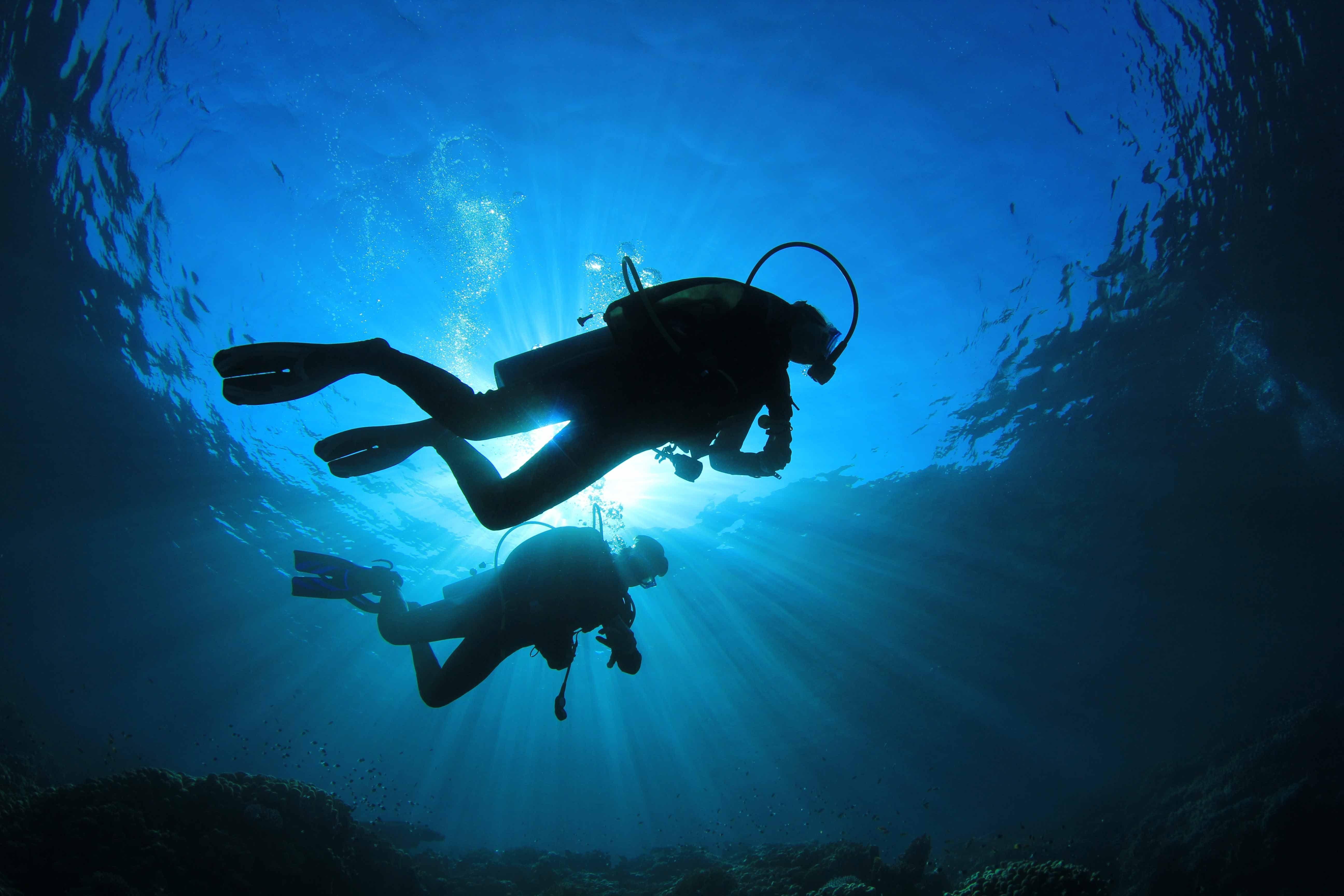 Diving Wallpapers - Top Free Diving Backgrounds - WallpaperAccess