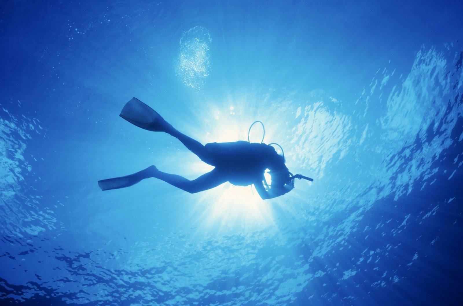 Diver Wallpapers - Top Free Diver Backgrounds - WallpaperAccess