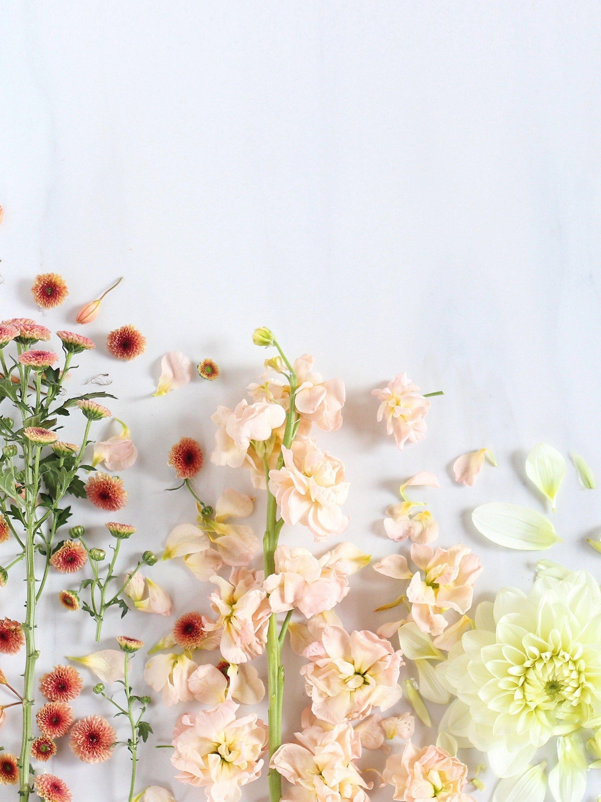 Aesthetic Flowers Cartoons Wallpapers - Top Free Aesthetic Flowers ...