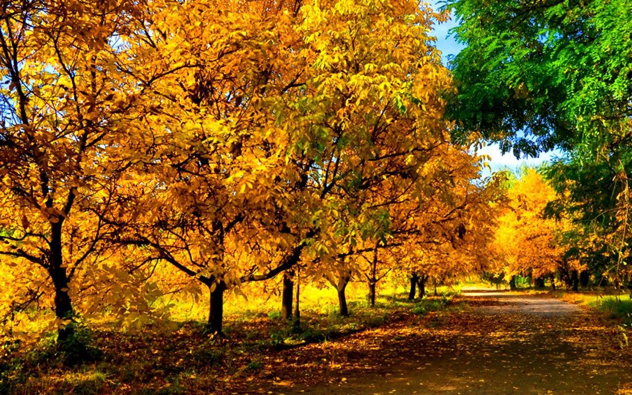 October Scenery Wallpapers - Top Free October Scenery Backgrounds ...