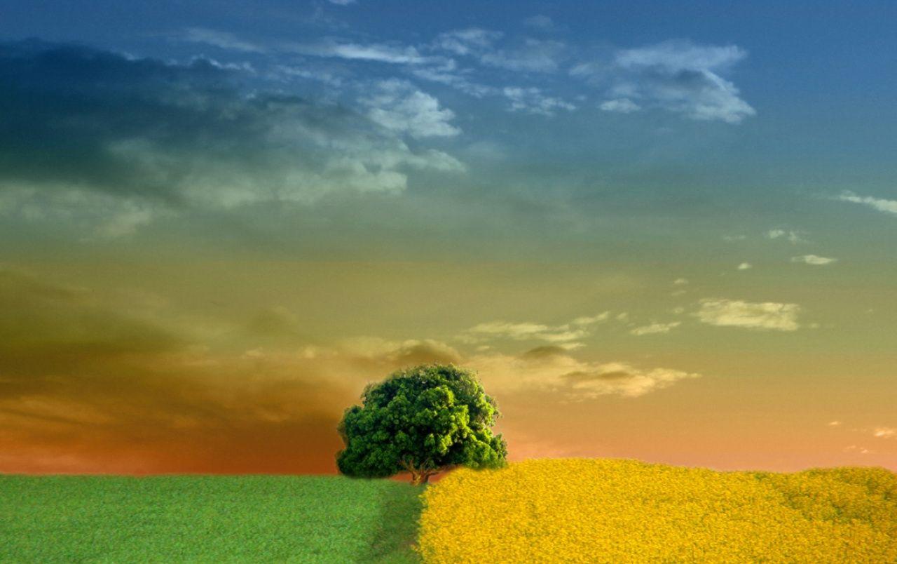 Connected Wallpapers - Top Free Connected Backgrounds - WallpaperAccess