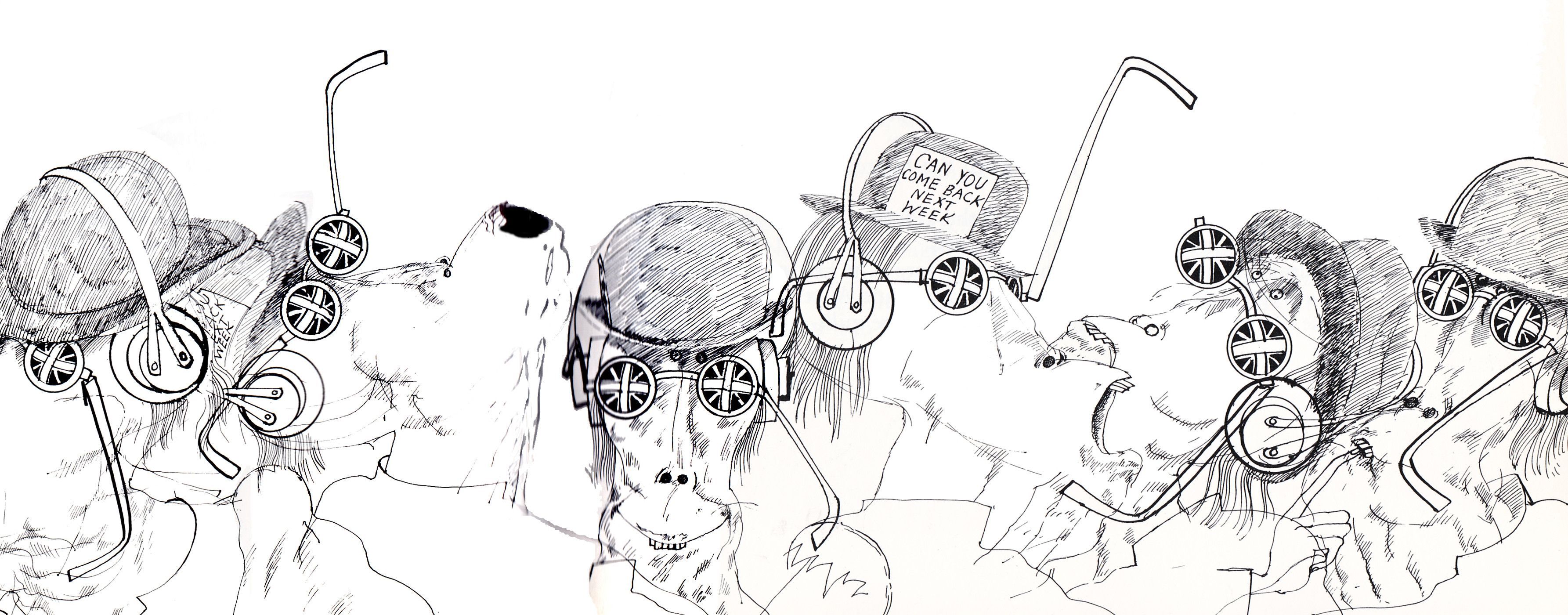 Ralph Steadman Wallpapers - Top Free Ralph Steadman Backgrounds ...