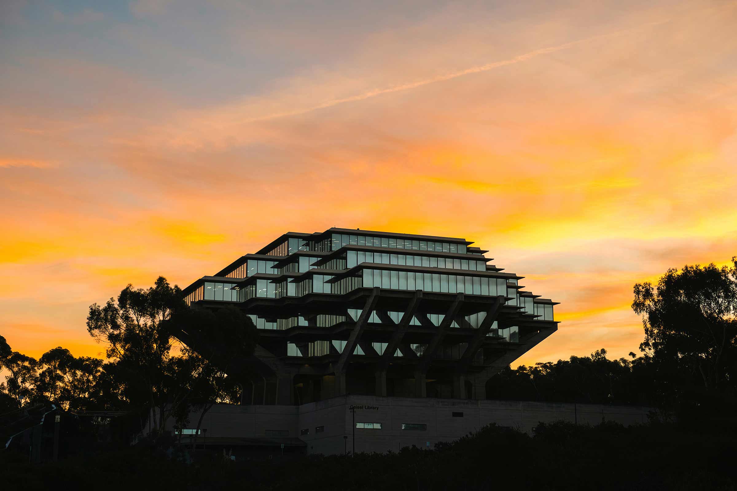UCSD Wallpapers - Top Free UCSD Backgrounds - WallpaperAccess