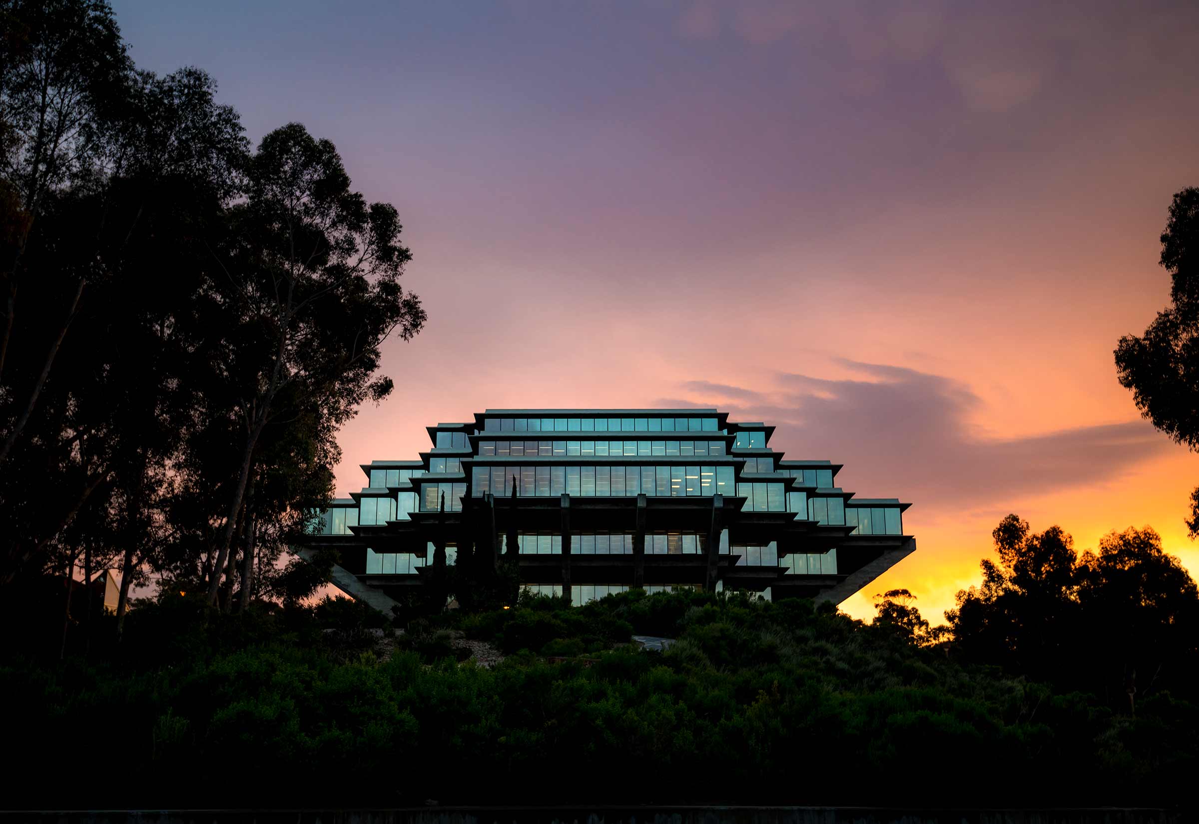 UCSD Wallpapers - Top Free UCSD Backgrounds - WallpaperAccess