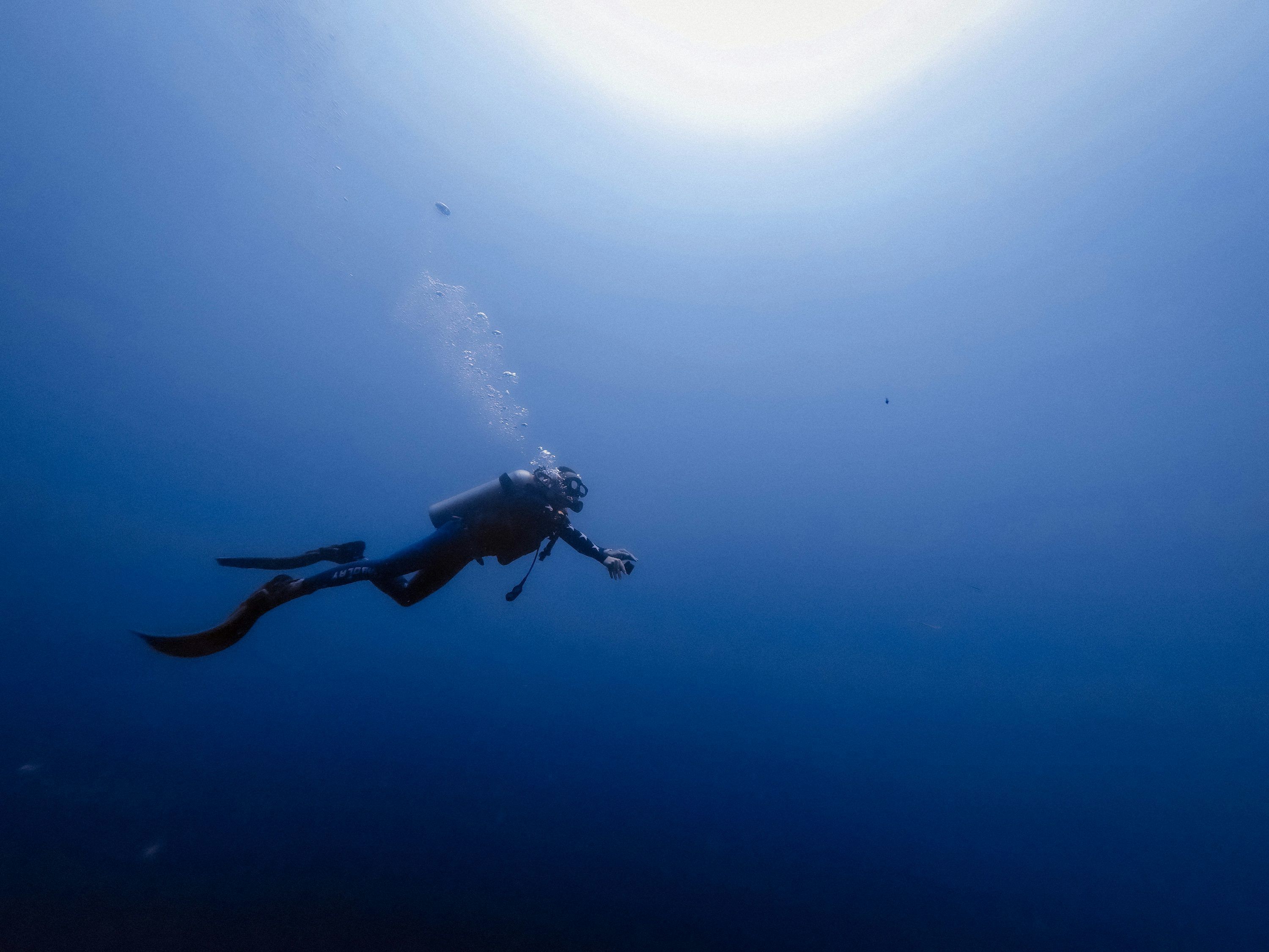 Underwater Diving Wallpapers - Top Free Underwater Diving Backgrounds ...