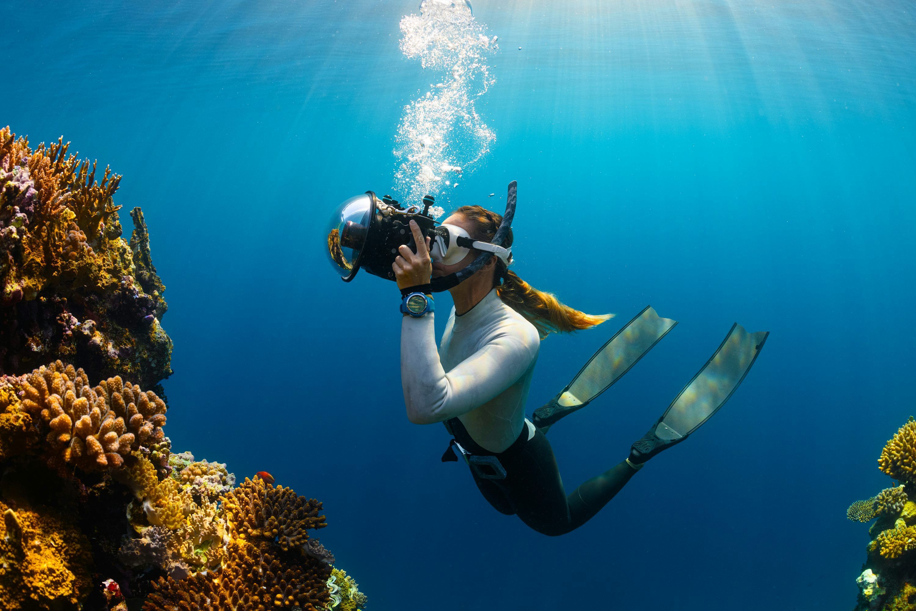 Underwater Diving Wallpapers - Top Free Underwater Diving Backgrounds ...
