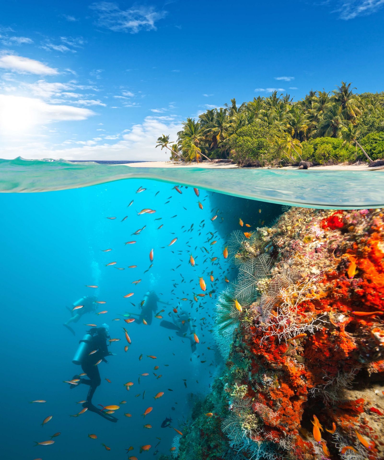 Underwater Diving Wallpapers - Top Free Underwater Diving Backgrounds ...