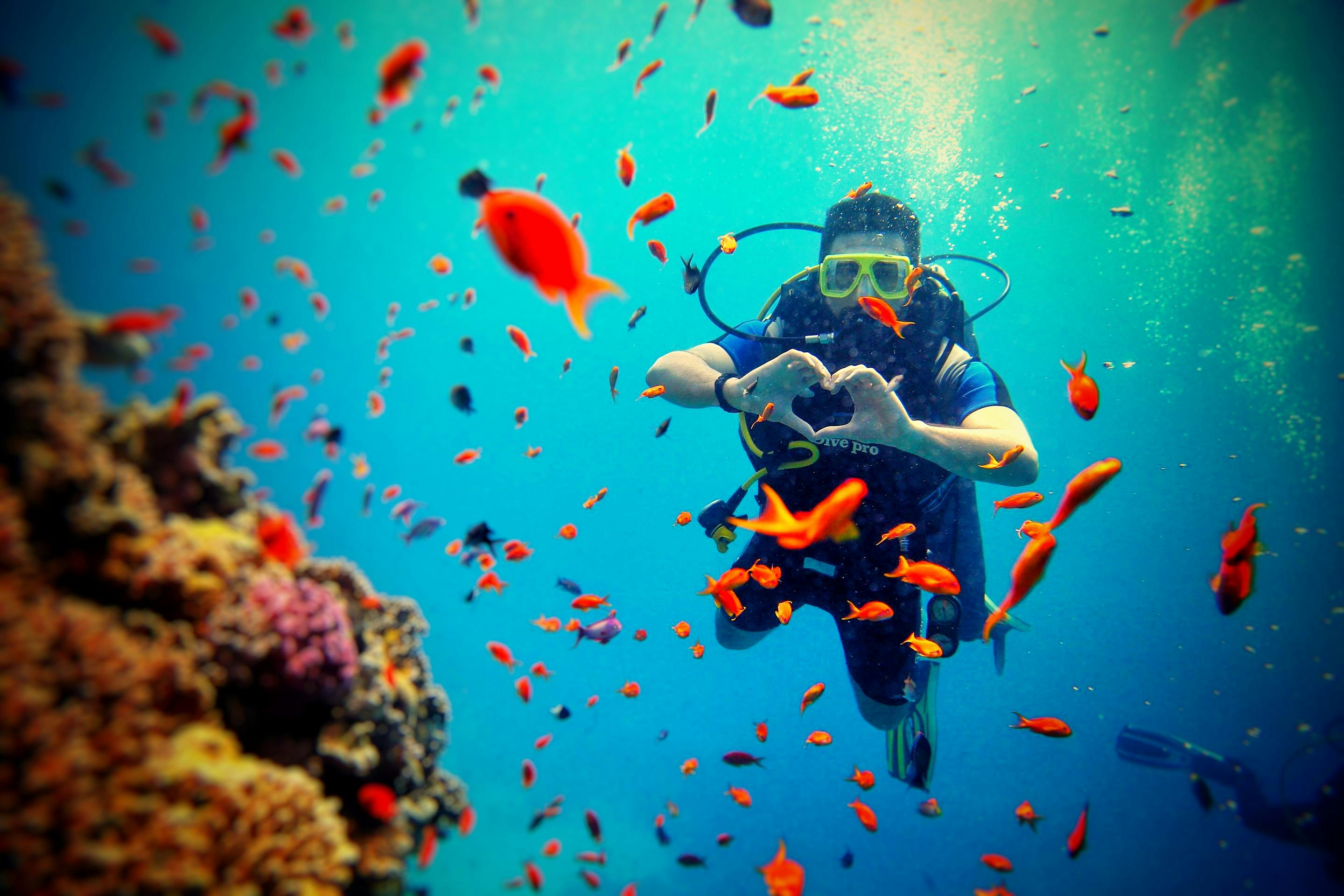 Underwater Diving Wallpapers - Top Free Underwater Diving Backgrounds ...