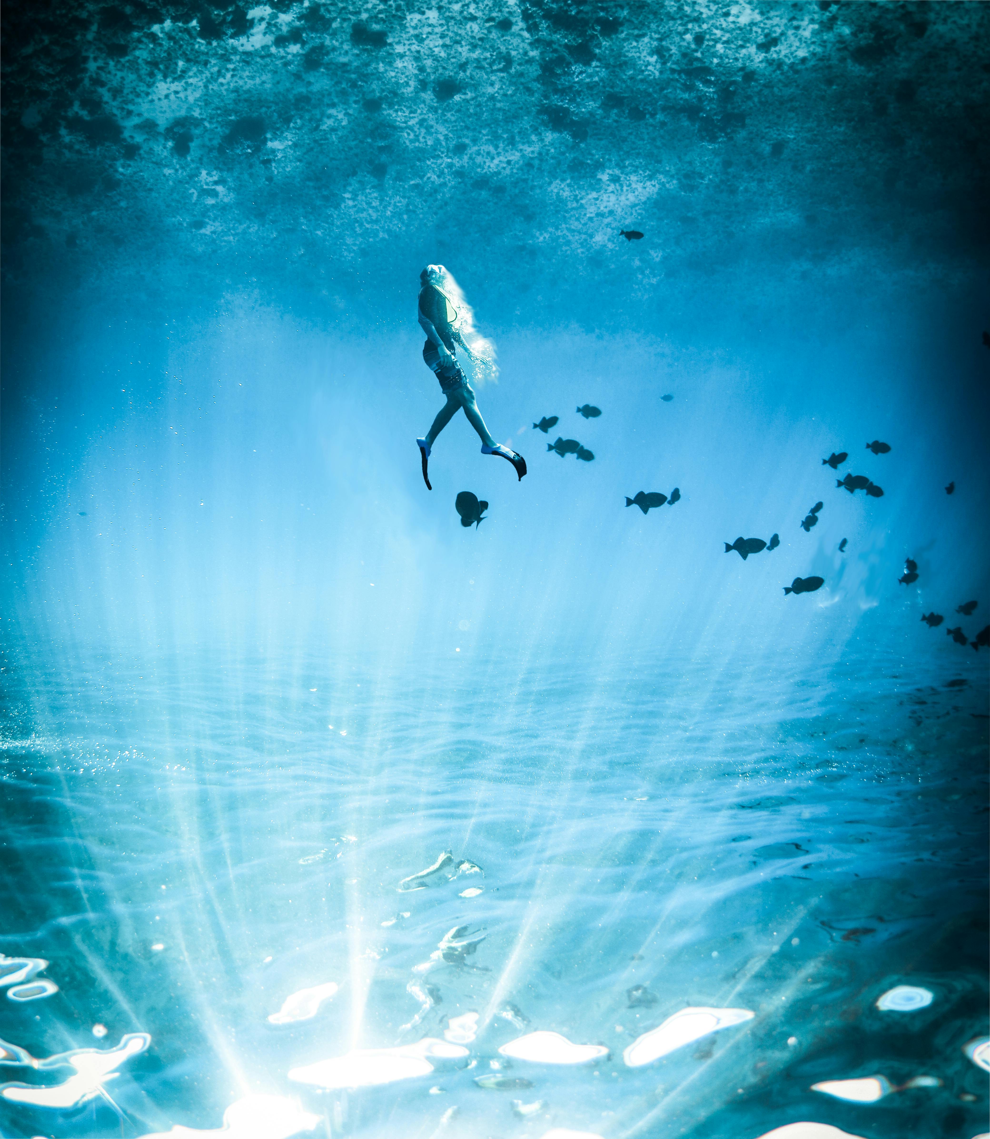 Underwater Diving Wallpapers - Top Free Underwater Diving Backgrounds ...