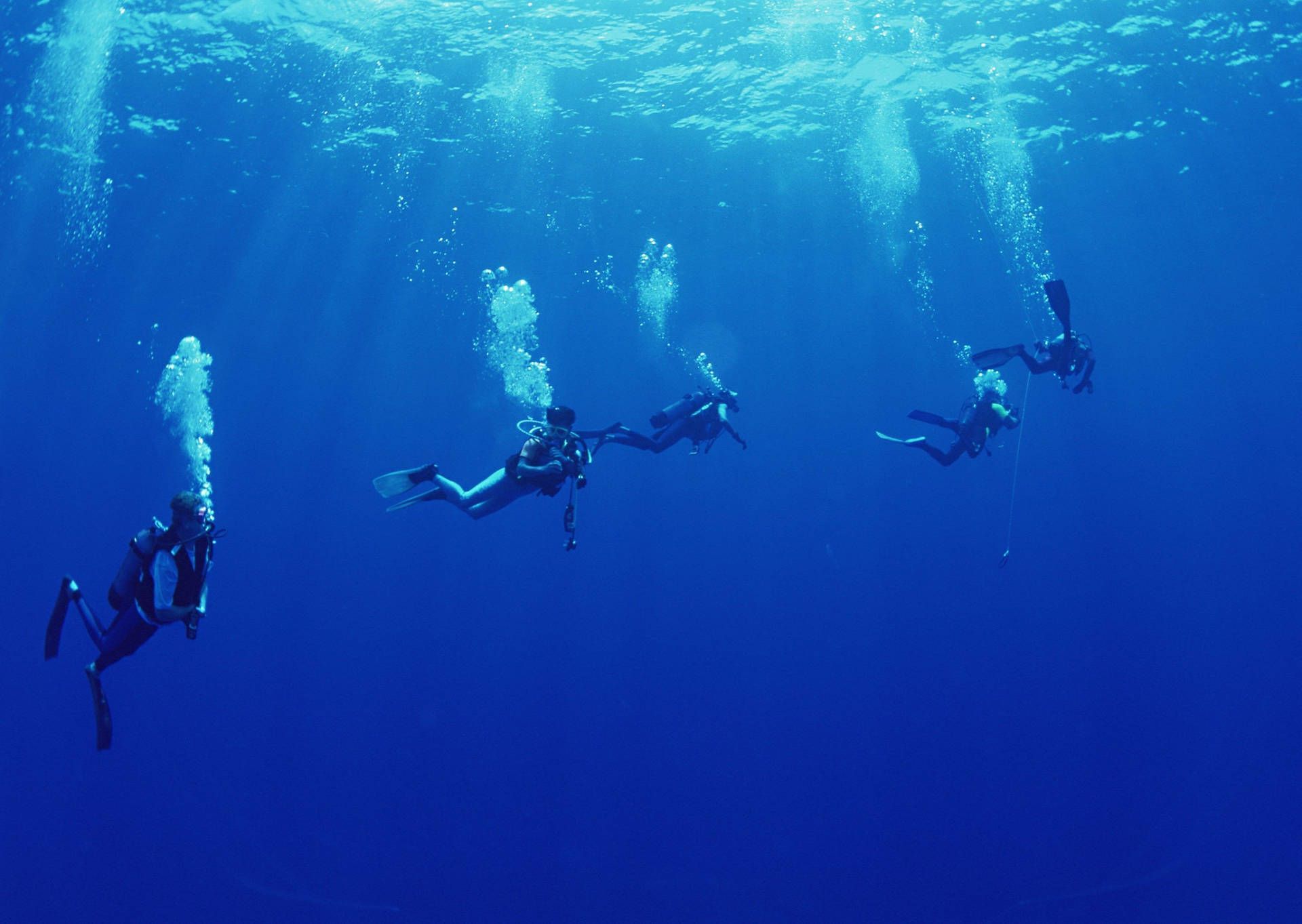 Underwater Diving Wallpapers - Top Free Underwater Diving Backgrounds ...