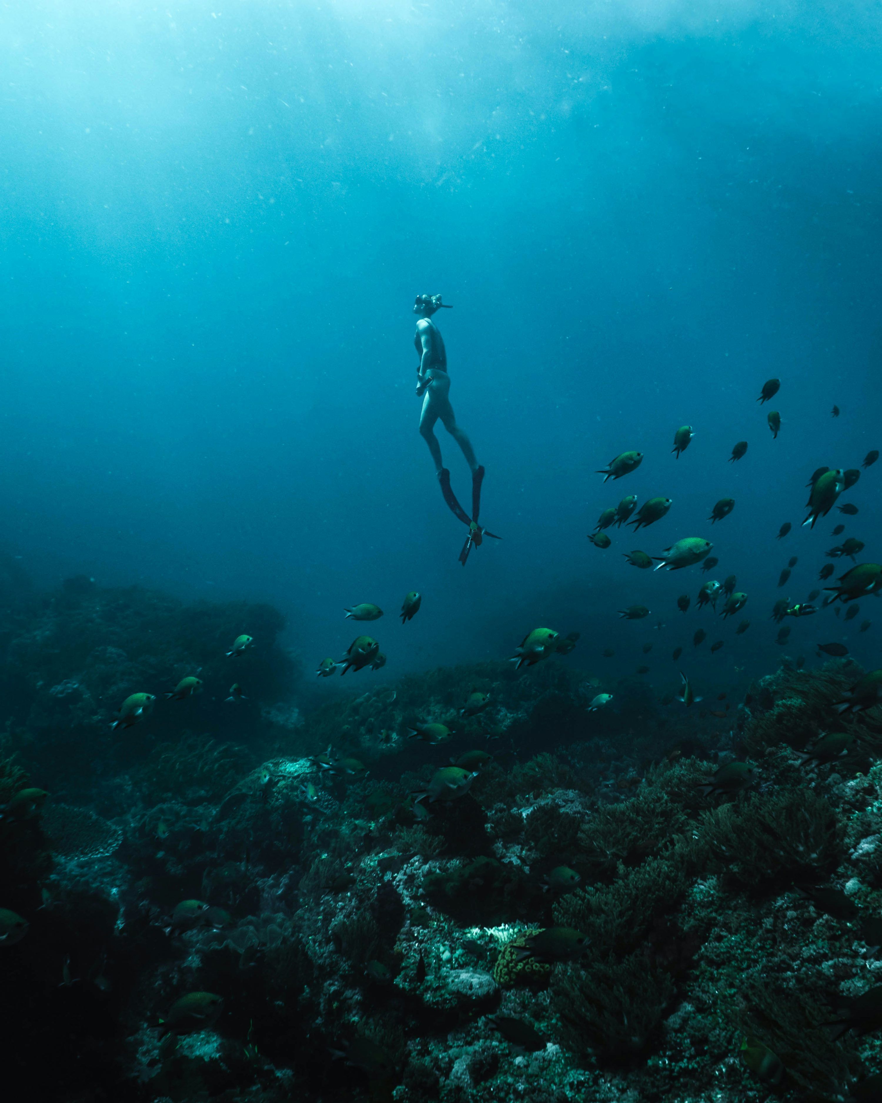 Underwater Diving Wallpapers - Top Free Underwater Diving Backgrounds ...