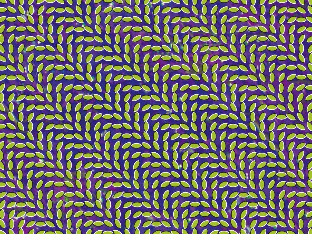Animal Collective Wallpapers - Top Free Animal Collective Backgrounds ...
