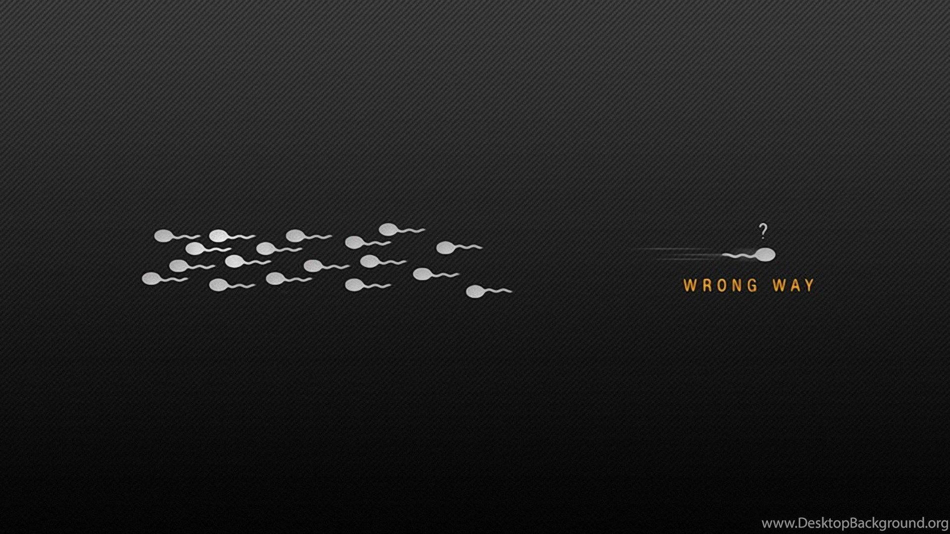 Funny Computer Desktop Wallpapers - Top Free Funny Computer Desktop ...