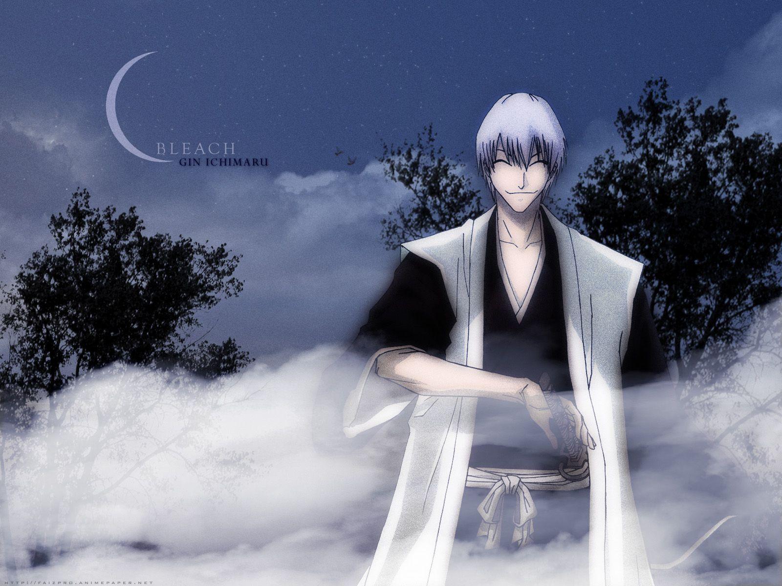 Gin Ichimaru Wallpapers - Top Free Gin Ichimaru Backgrounds - WallpaperAccess