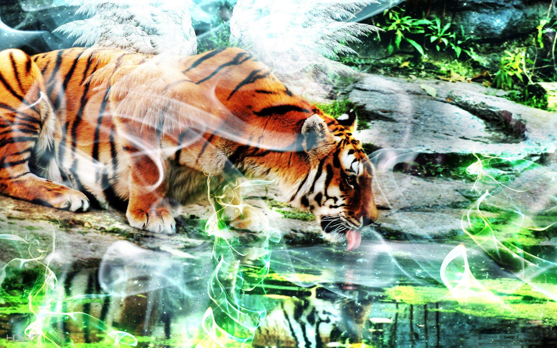 Tiger Drinking Water Wallpapers - Top Free Tiger Drinking Water ...