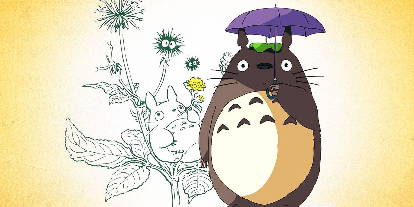 MEU AMIGO TOTORO Wallpapers - Top Free MEU AMIGO TOTORO Backgrounds ...