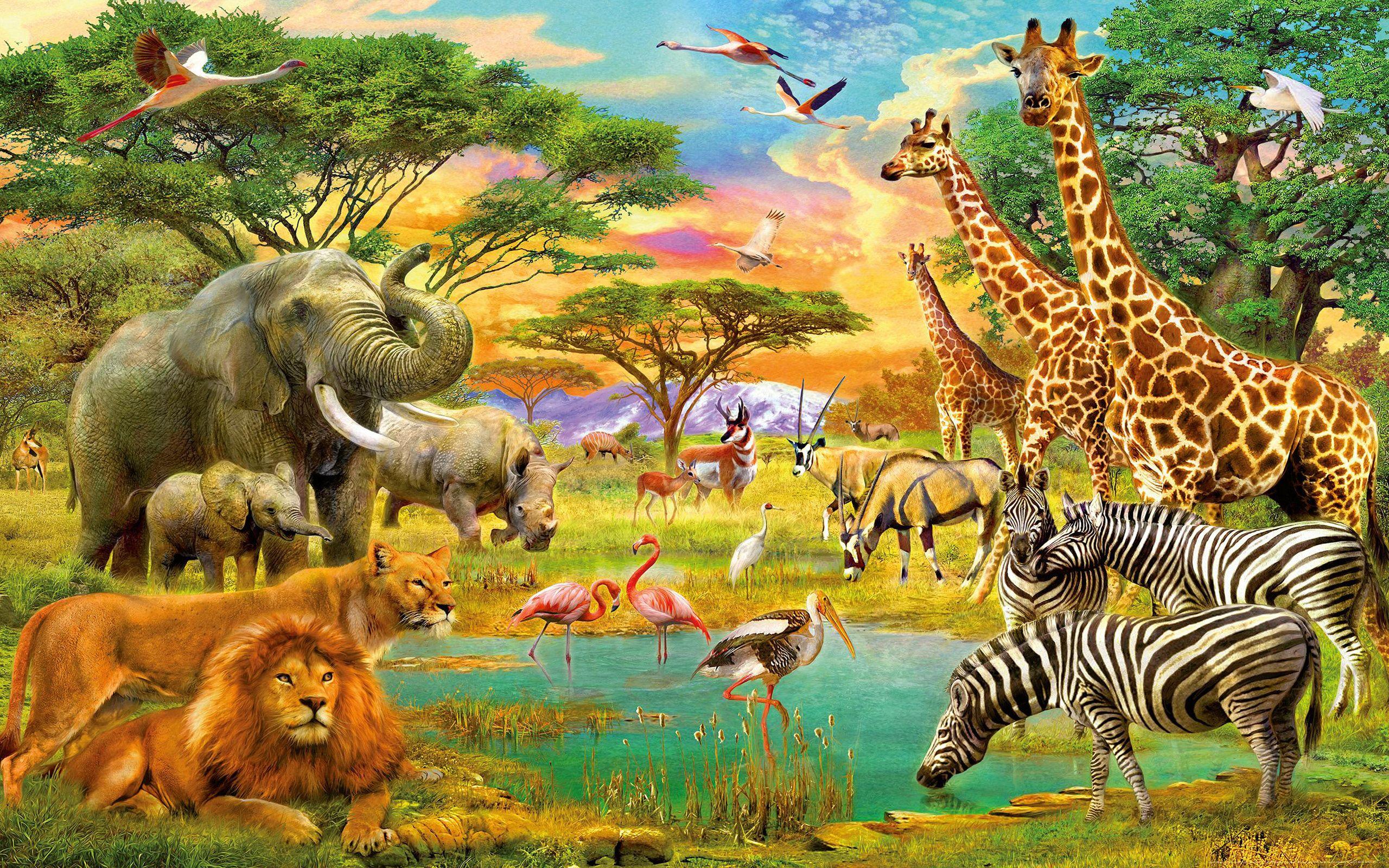 African Animal Desktop Wallpapers - Top Free African Animal Desktop ...