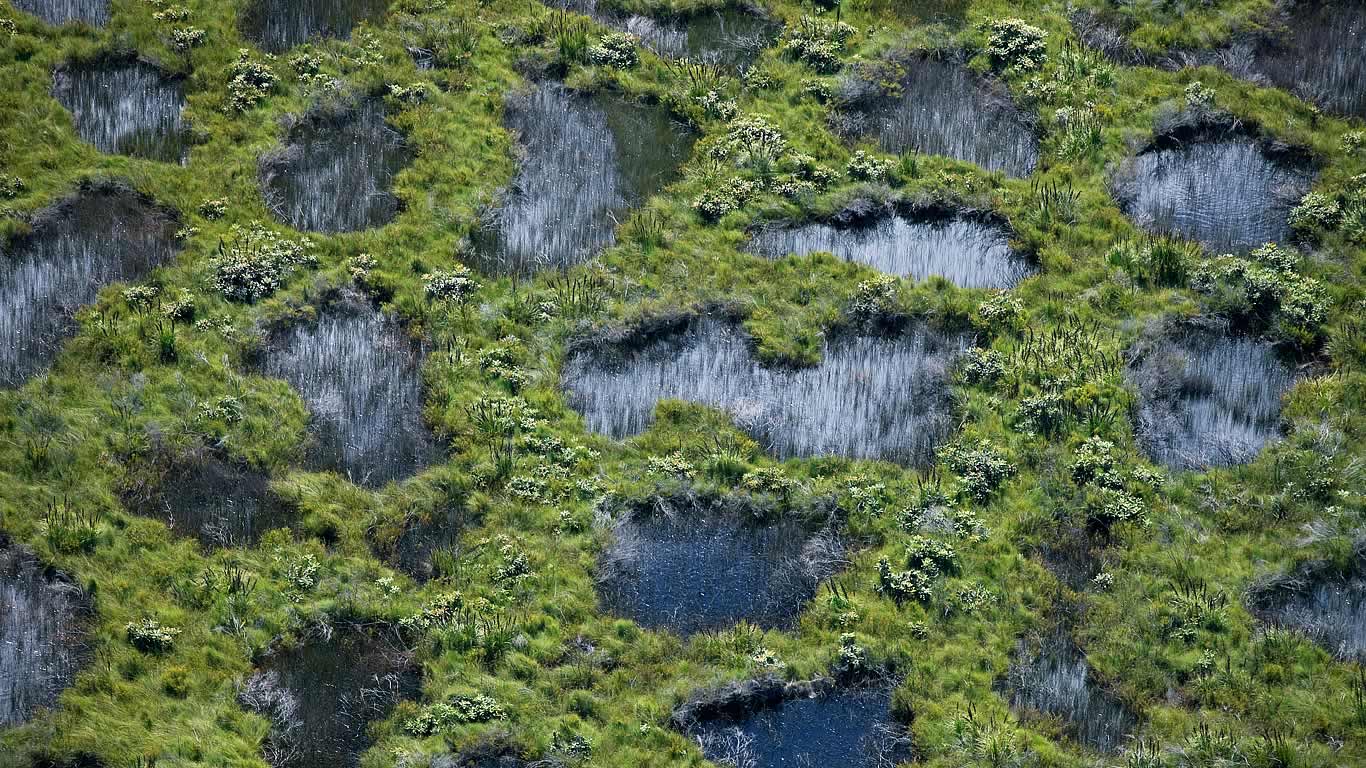 Bing Moon Wallpapers - Top Free Bing Moon Backgrounds - WallpaperAccess