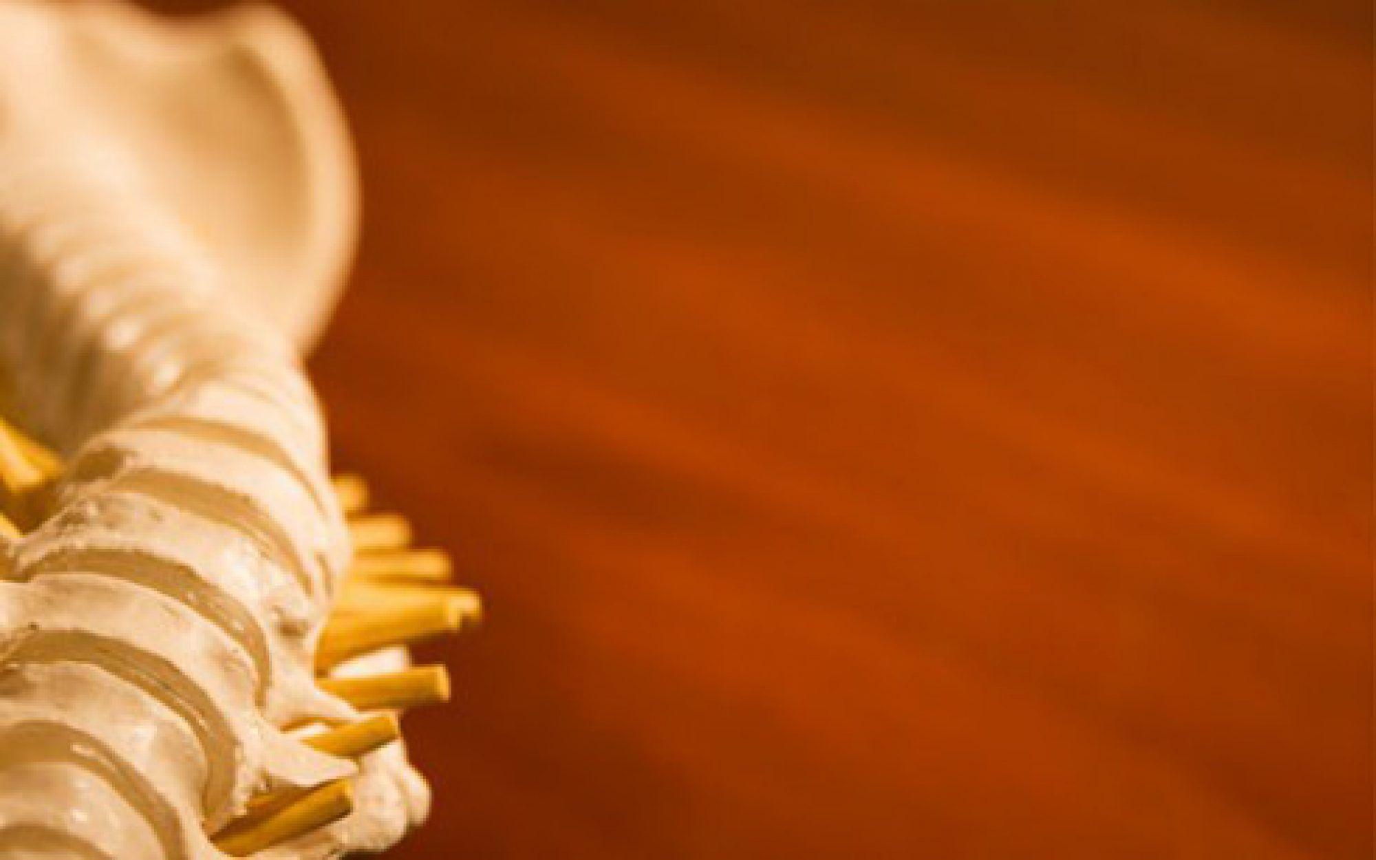 Chiropractic Wallpapers - Top Free Chiropractic Backgrounds ...