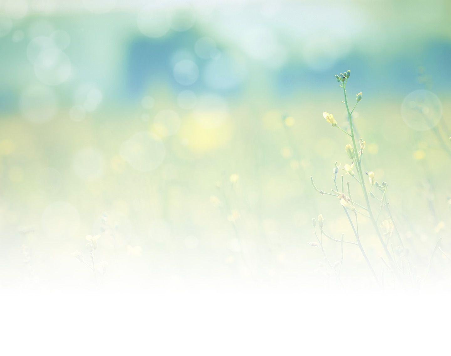 Chiropractic Wallpapers - Top Free Chiropractic Backgrounds ...