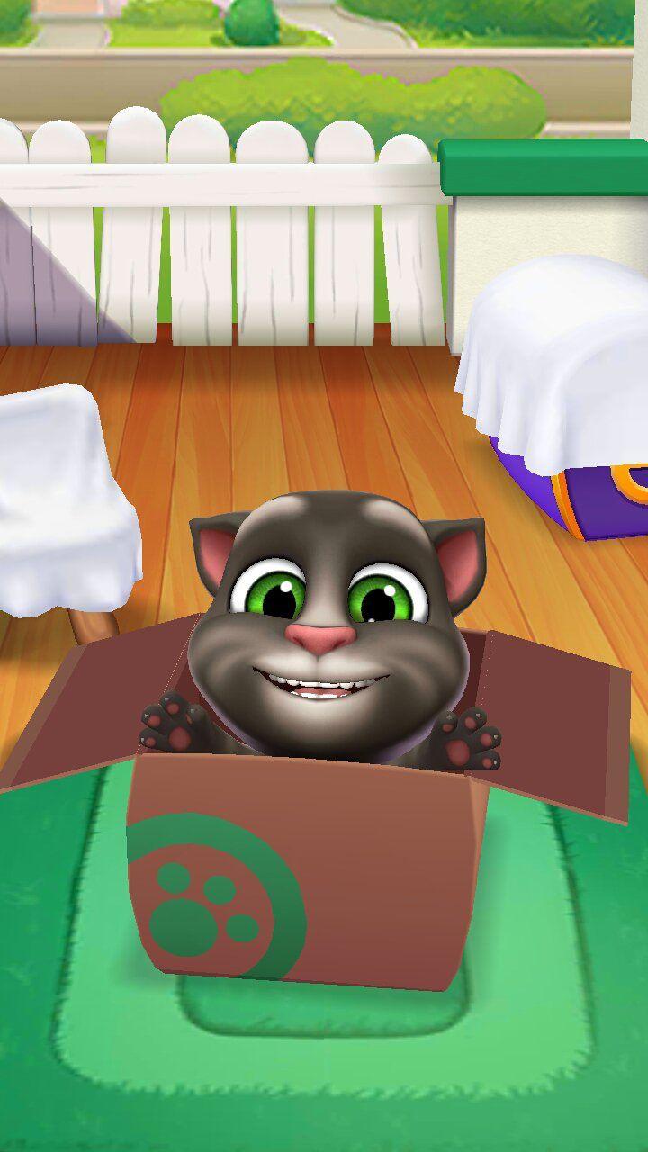 Talking Tom Wallpapers - Top Free Talking Tom Backgrounds - WallpaperAccess