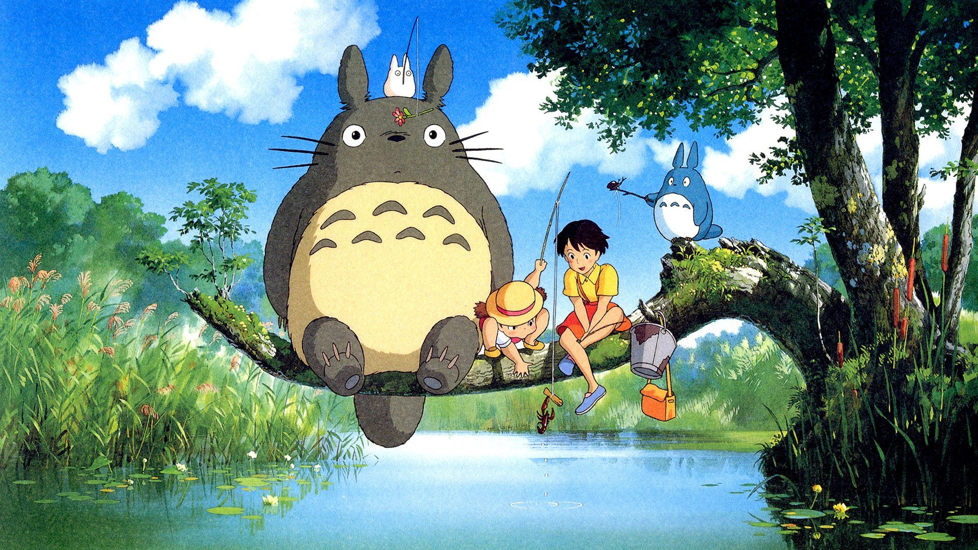 MEU AMIGO TOTORO Wallpapers - Top Free MEU AMIGO TOTORO Backgrounds ...