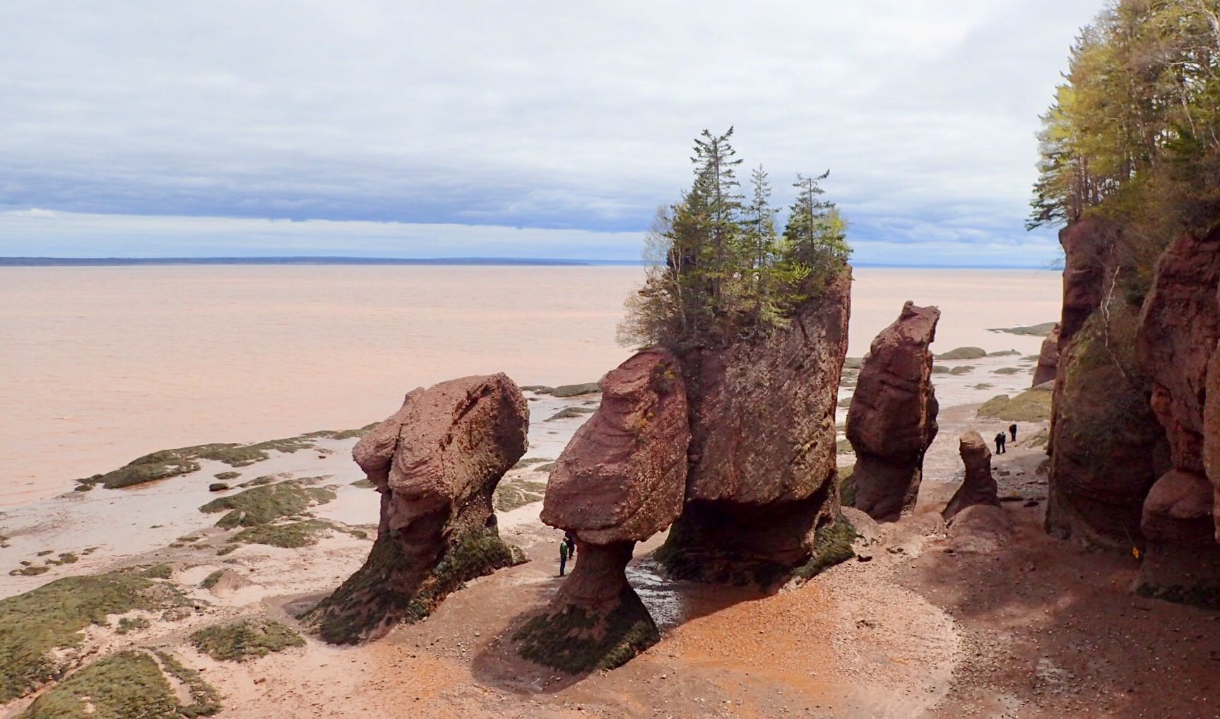 Bay of Fundy Wallpapers - Top Free Bay of Fundy Backgrounds ...